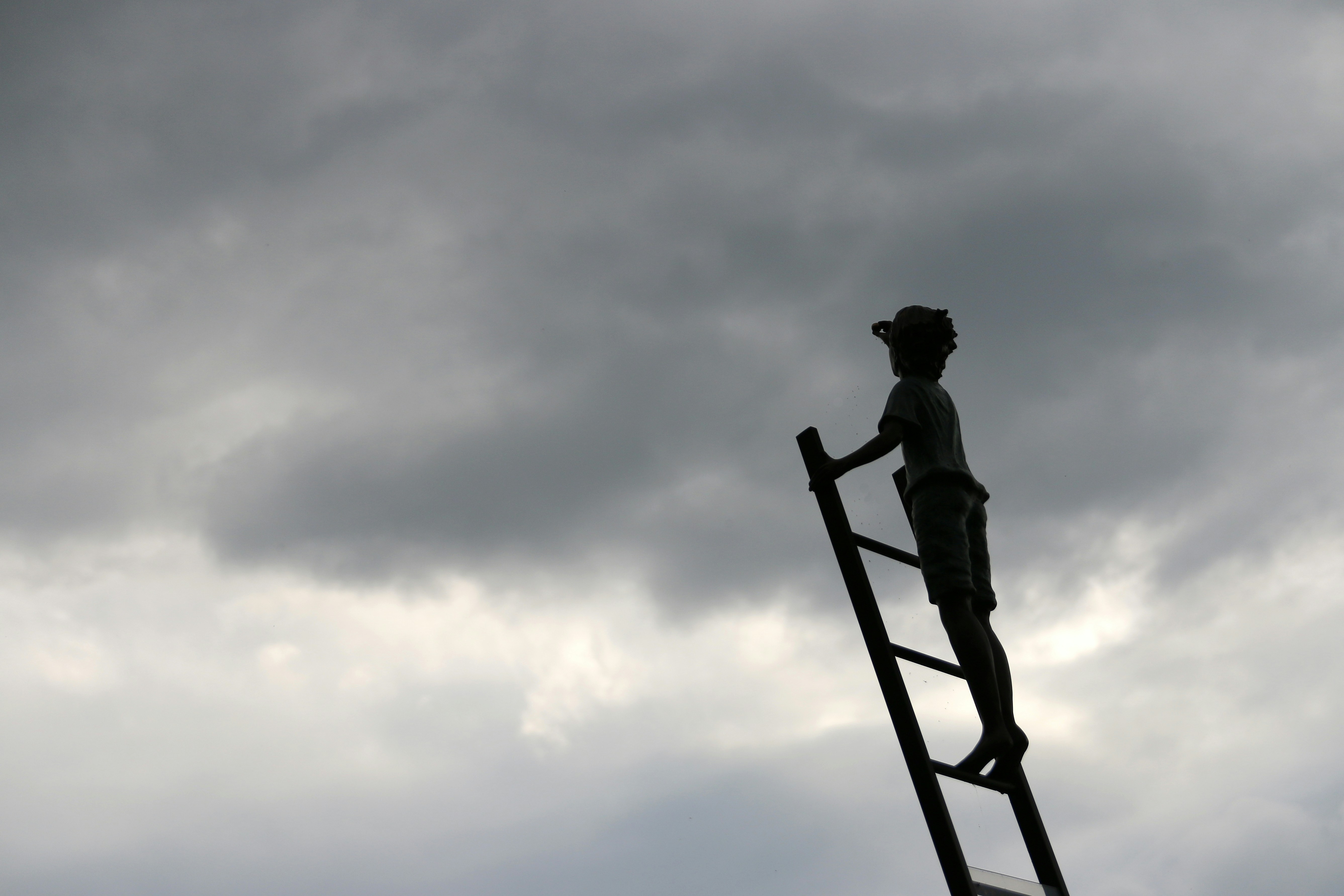 Person on ladder photo – Free Grey Image on Unsplash