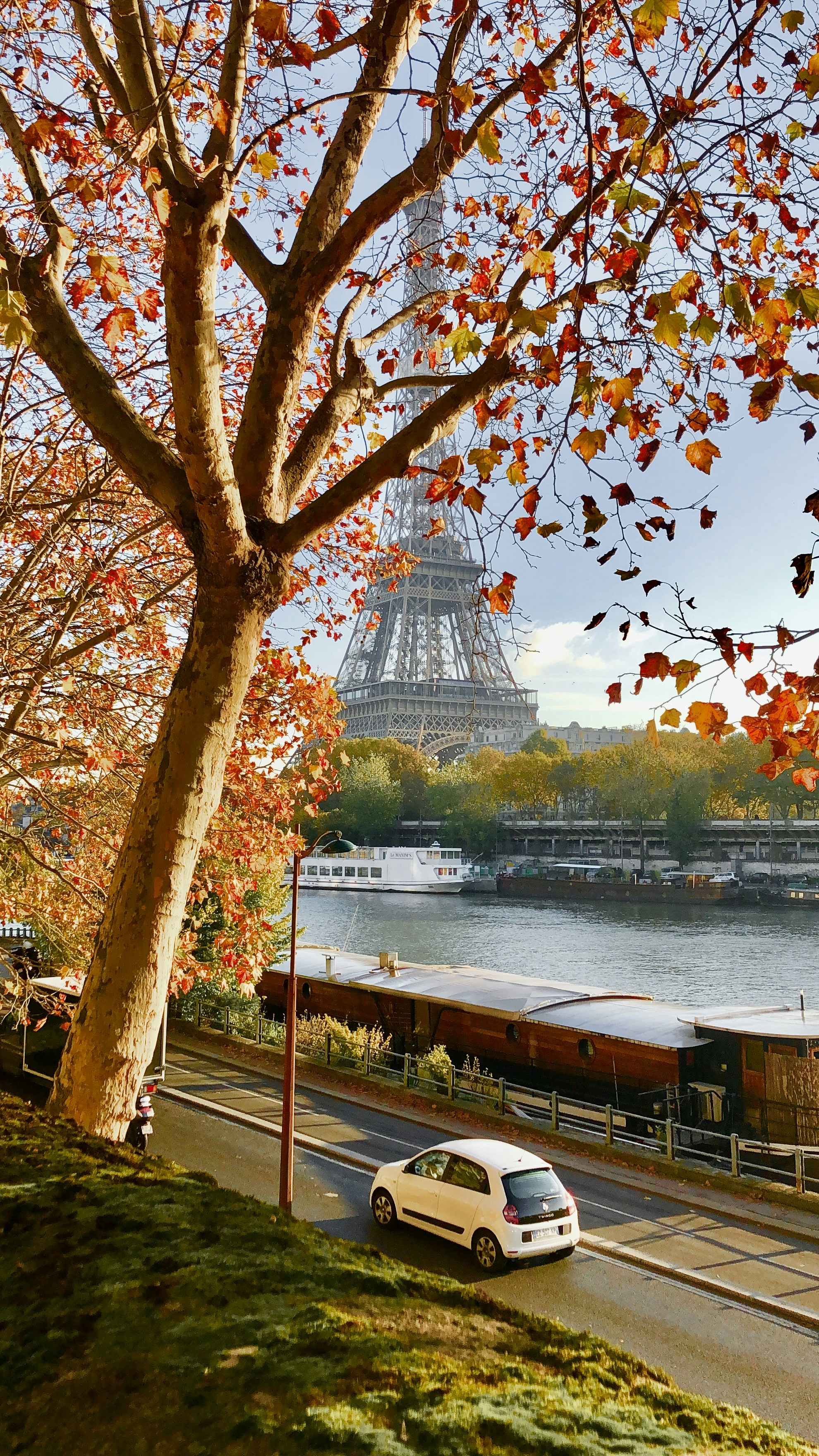 Crimson Canopy Framing the Seine: Eiffel Tower Emerges Through Fall Light