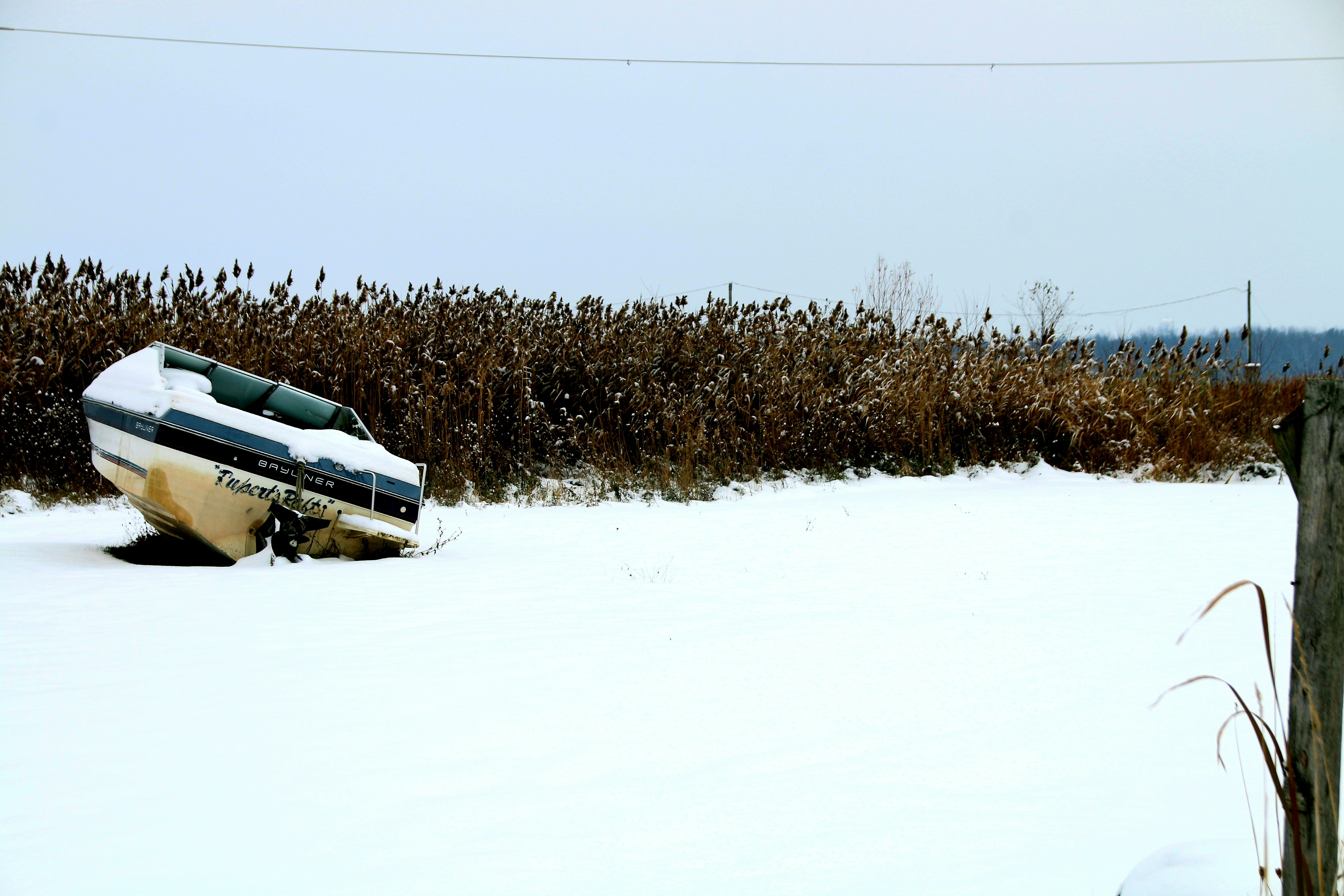 Snowbound Speedboat by the Hedgerow