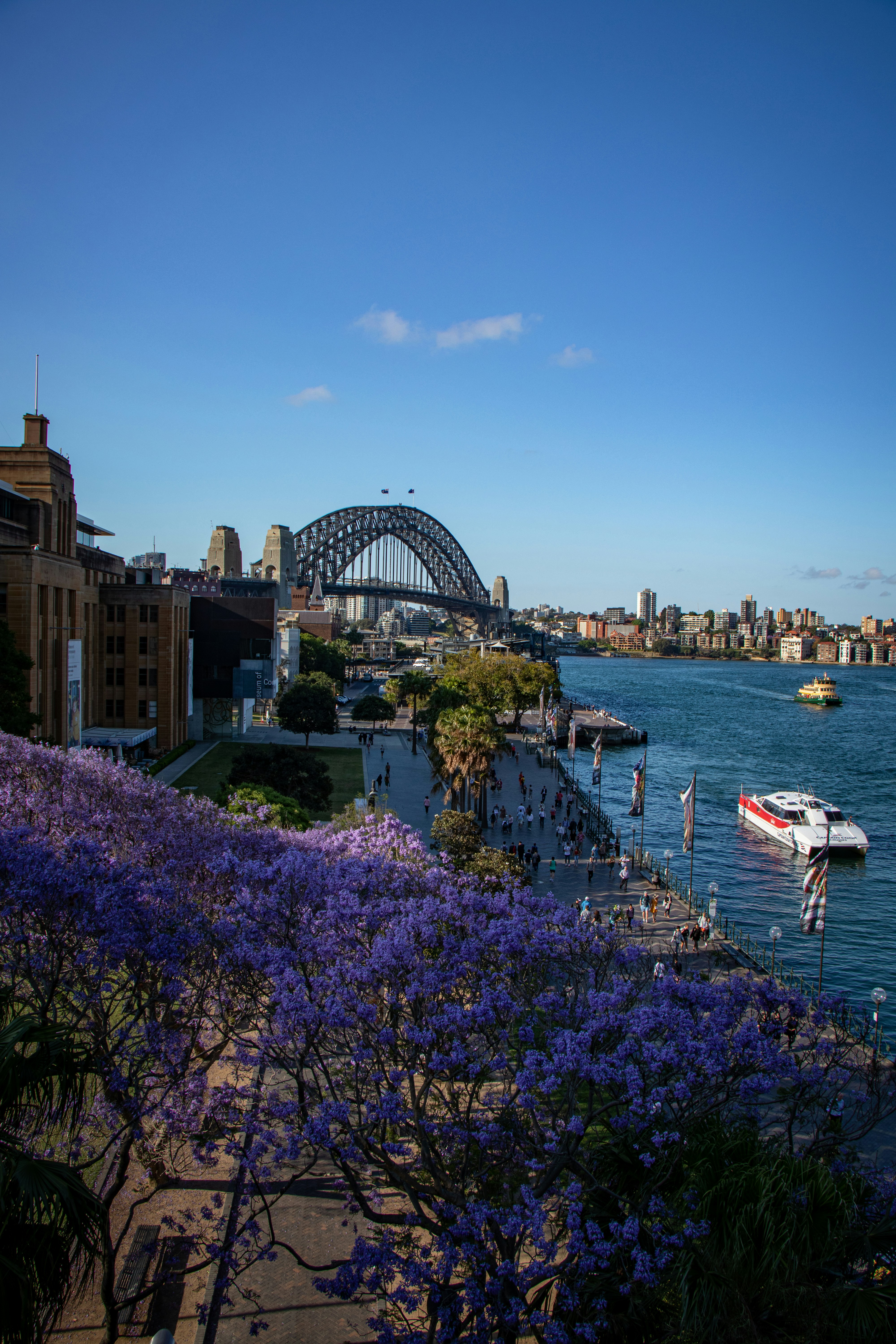 Sydney Harbour