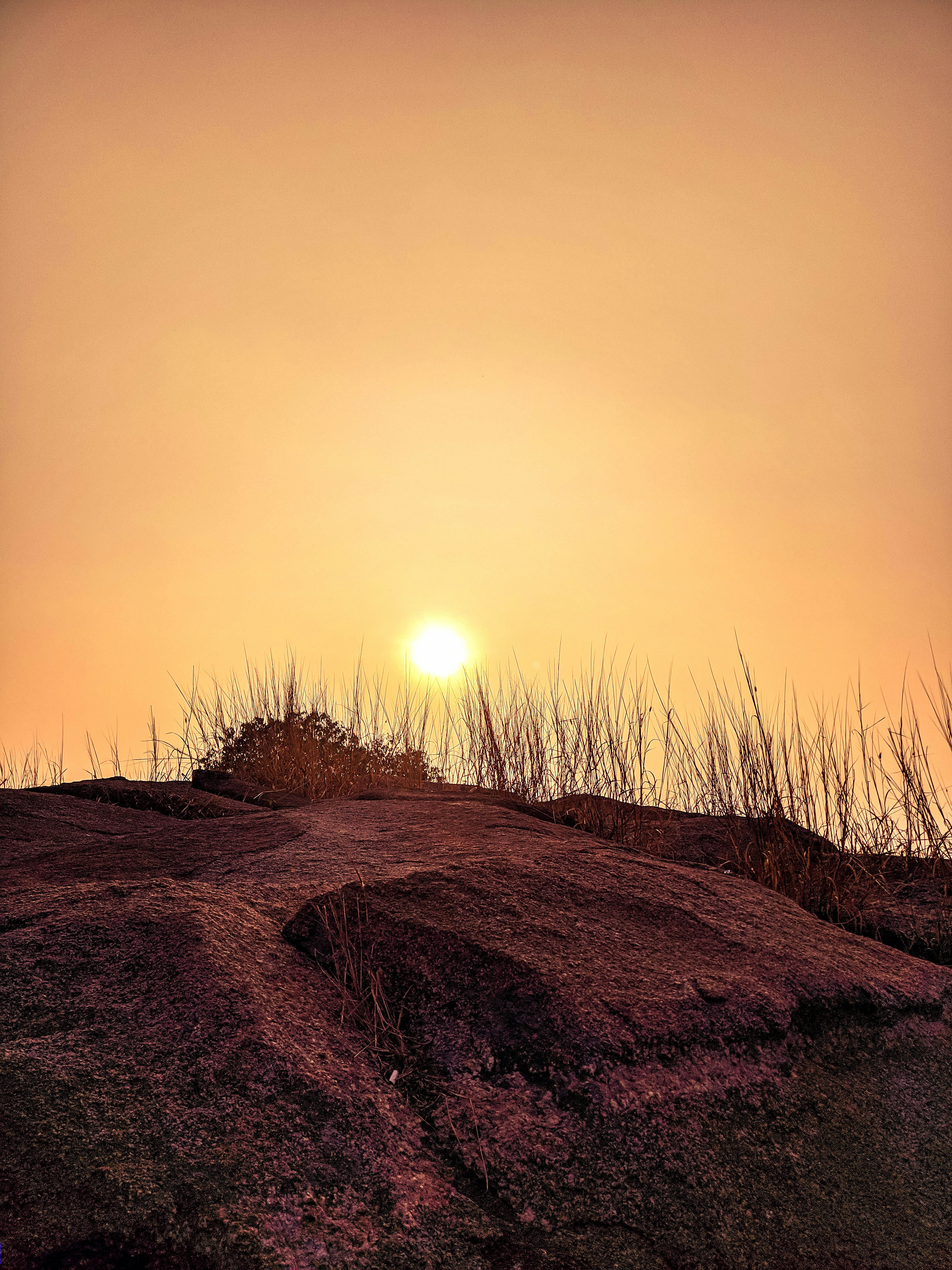 Golden sun setting behind a rugged rock formation, silhouetted by sparse grass and foliage. The warm hues create a tranquil atmosphere.