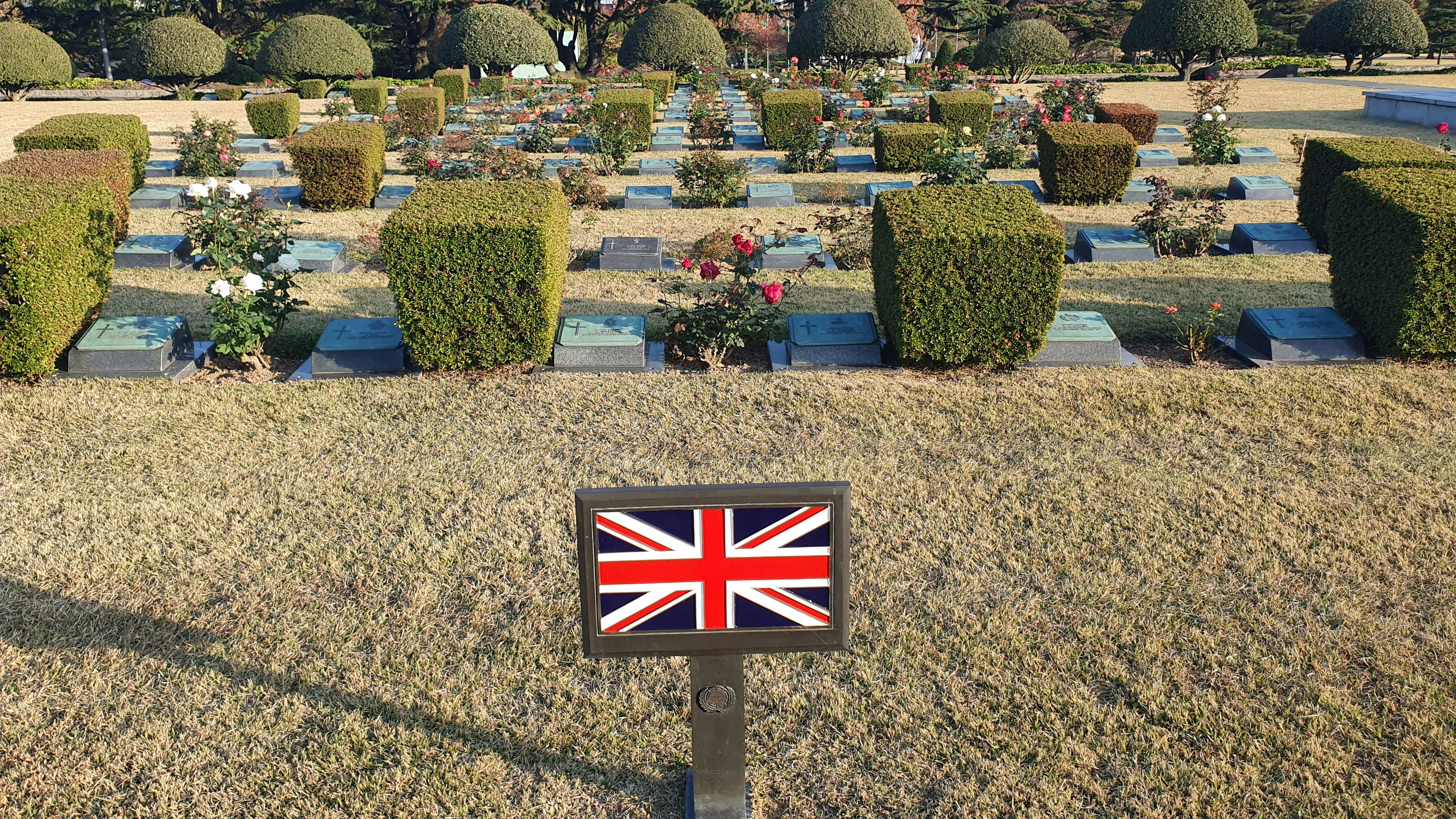 Memorial Service Pictures | Download Free Images on Unsplash