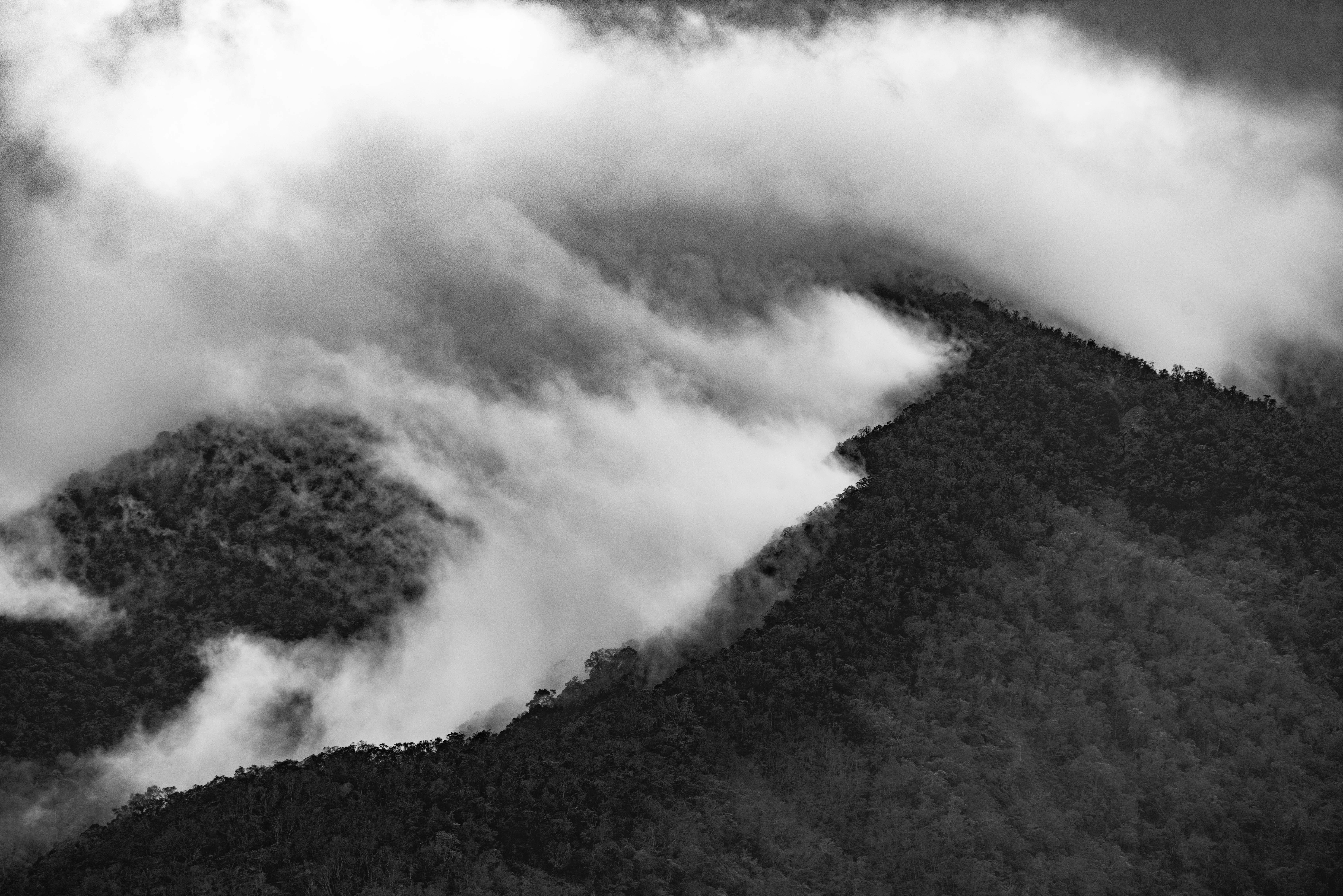 Chen Diego (@diegochen) | Unsplash Photo Community