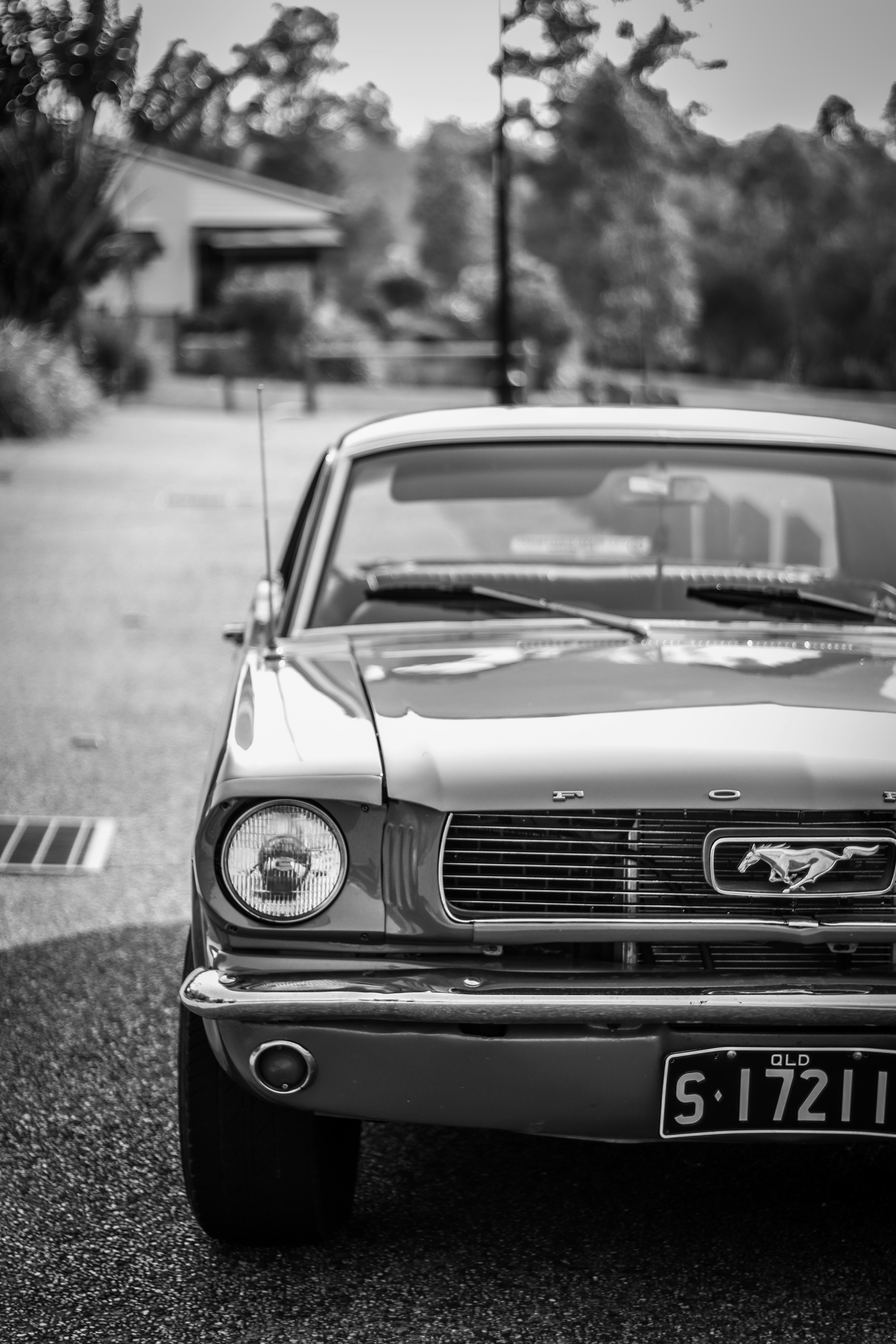 Grayscale photography of vintage Ford Mustang photo – Free Car Image on ...