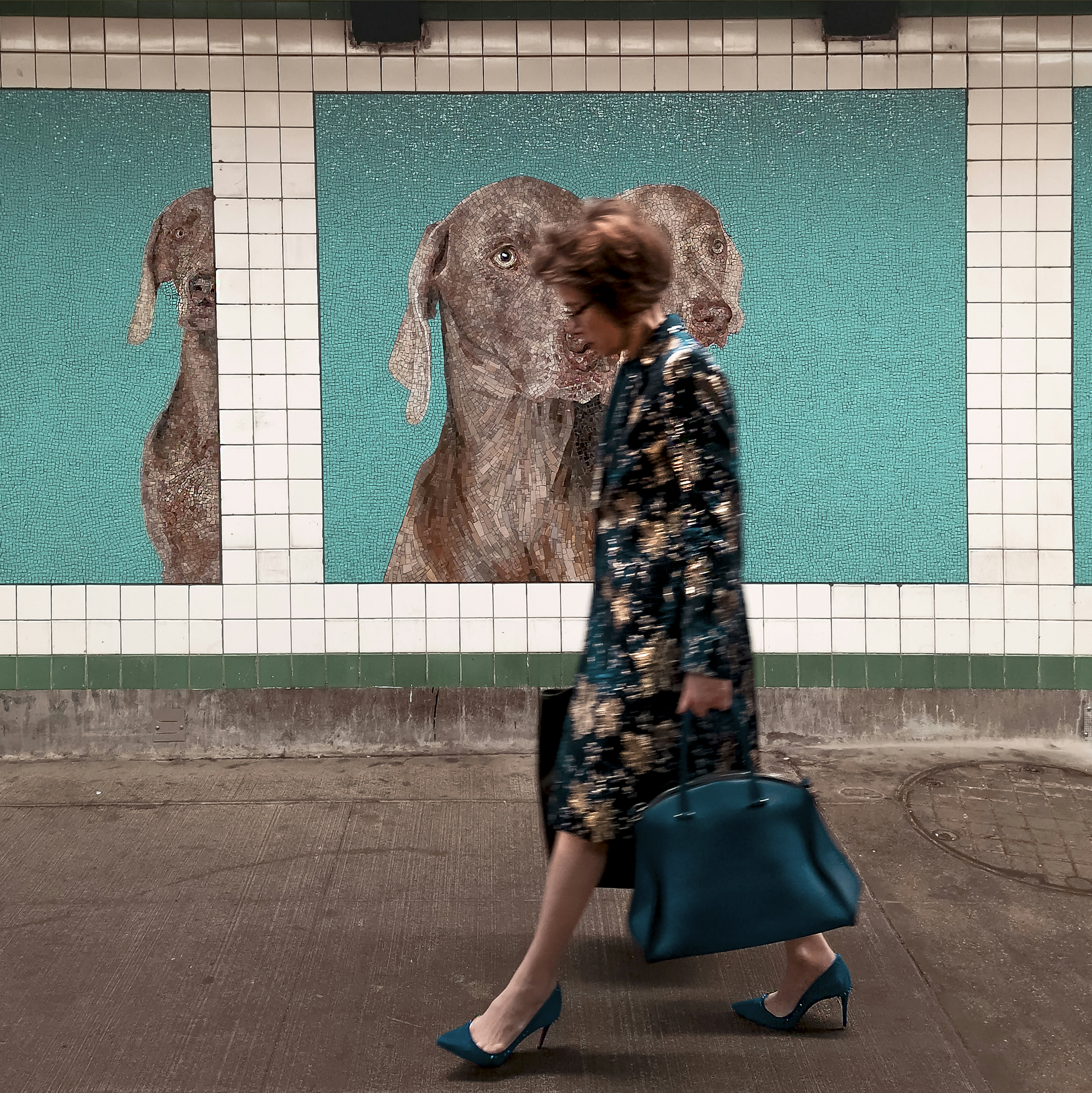 Stride Past the Canine Mosaic