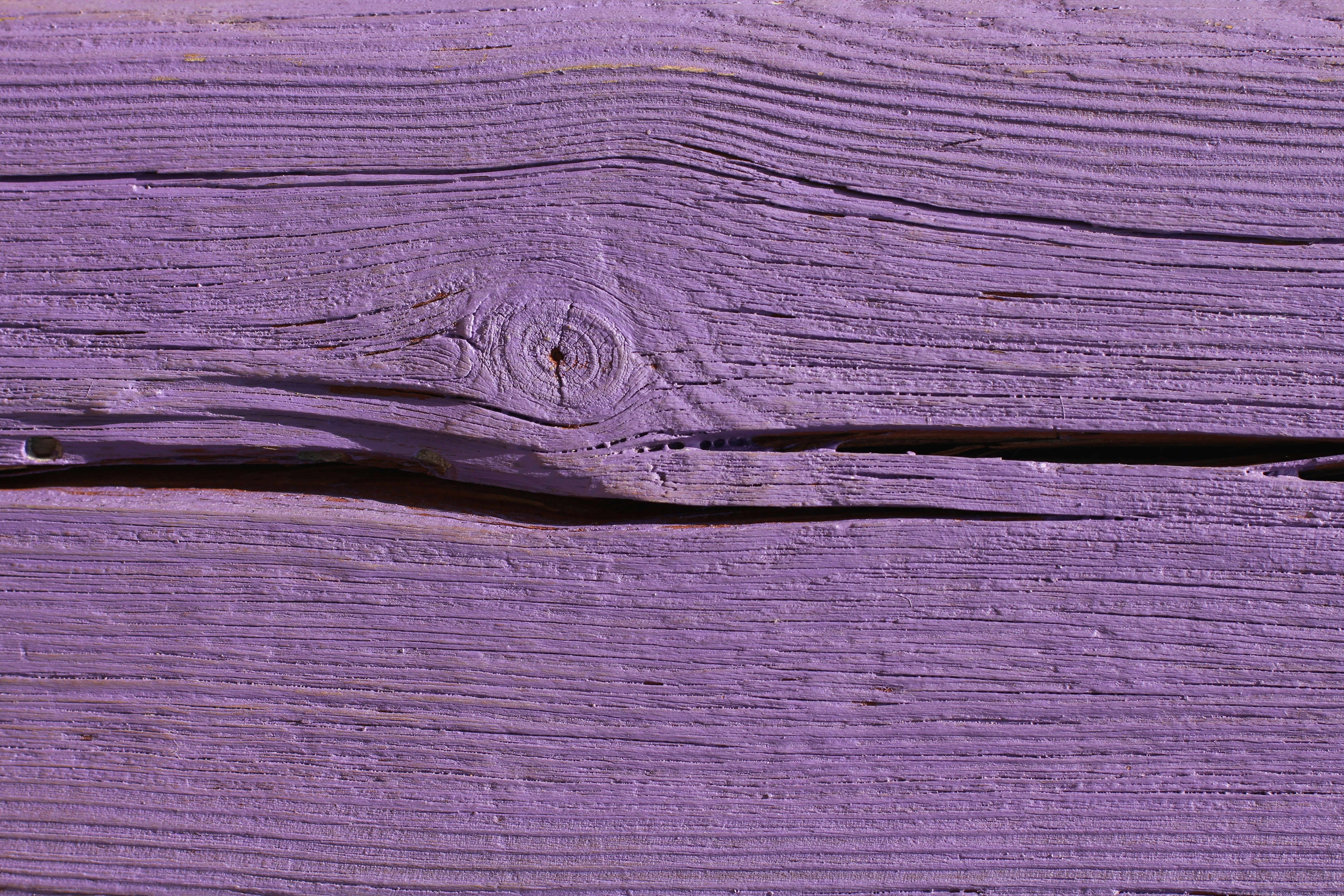 Knot Under Violet Hue: Close-Up of Painted Plank Grain