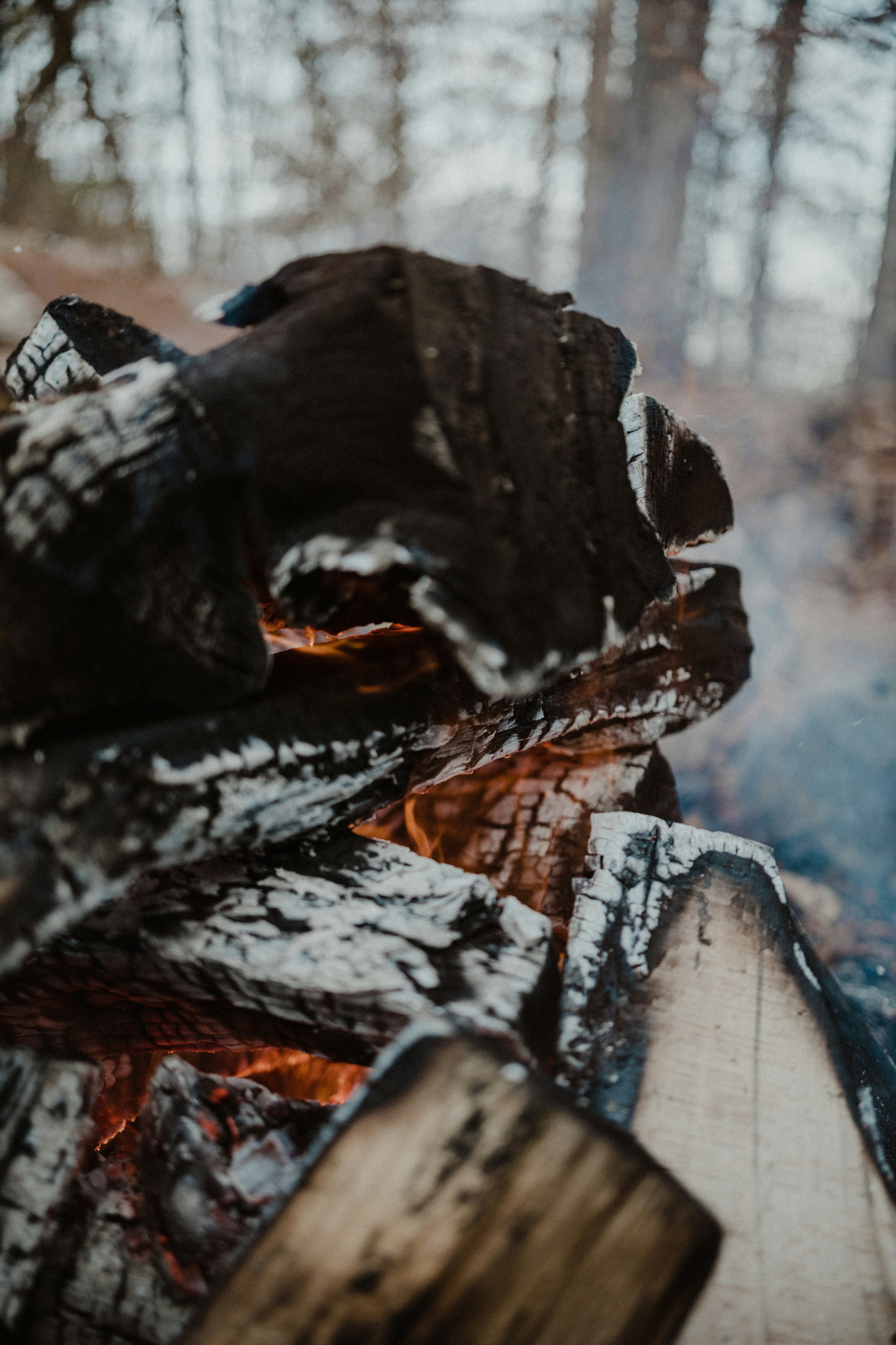Charred logs glowing with embers, surrounded by a blurred forest backdrop. The image captures the essence of a cozy campfire atmosphere.