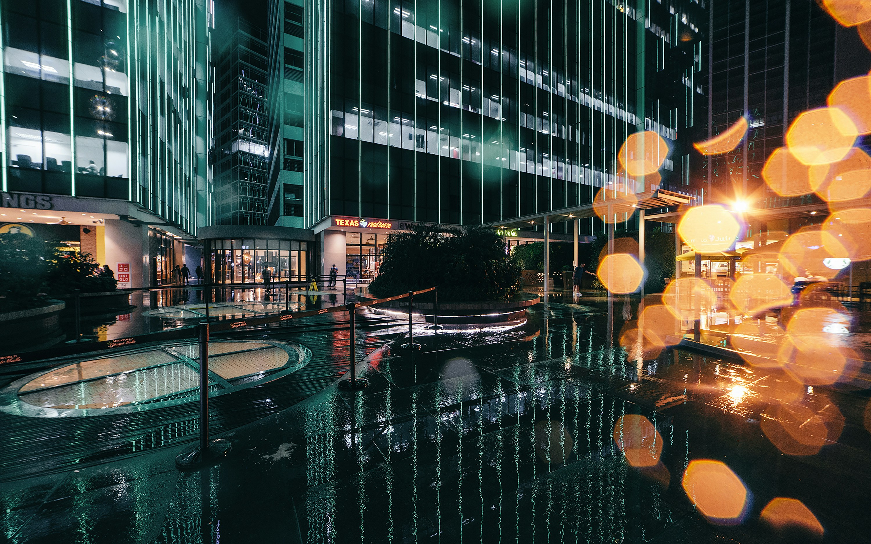 People standing near glass walled building during night time photo ...