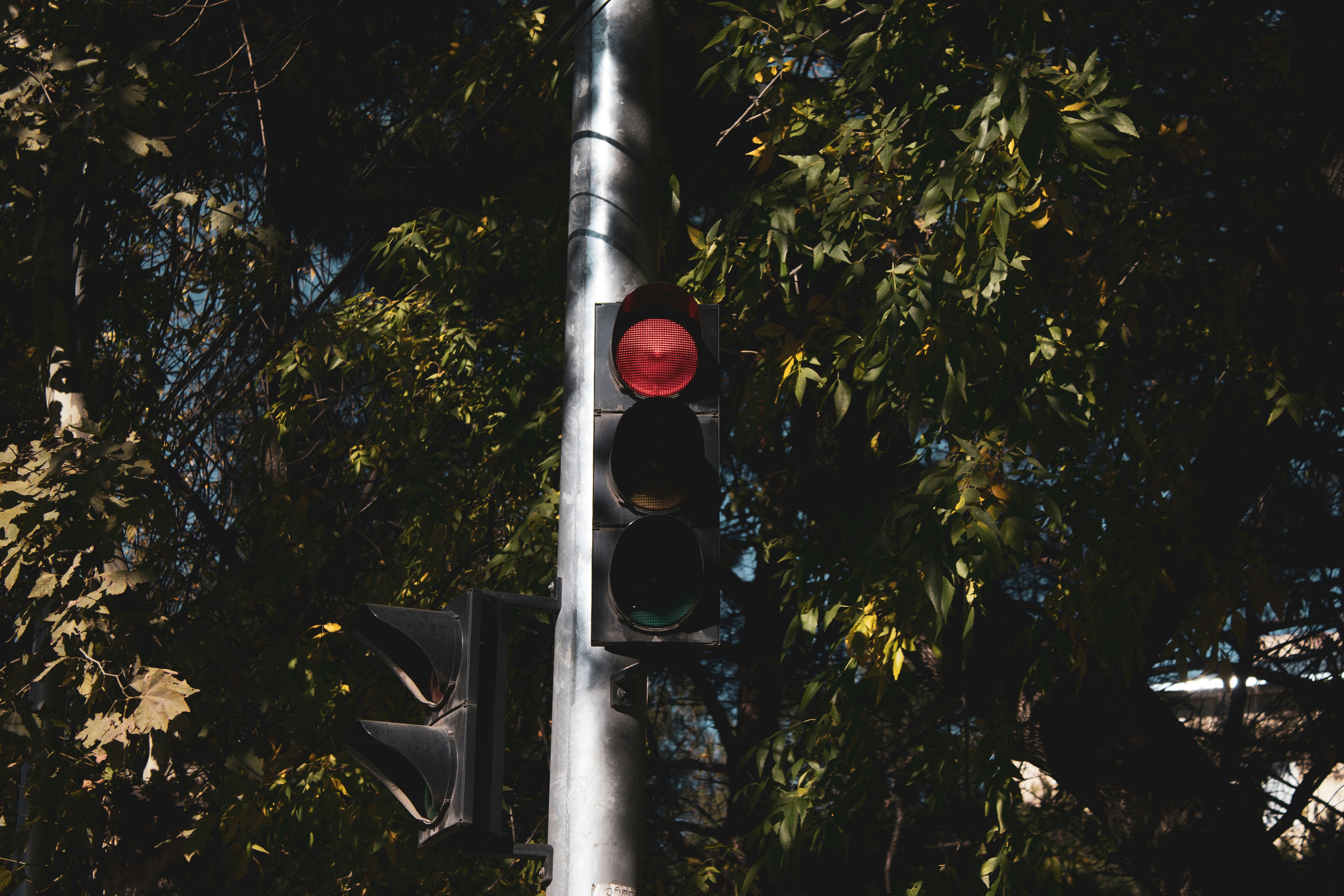 Traffic light showing red light photo – Free Avlabari street Image on ...