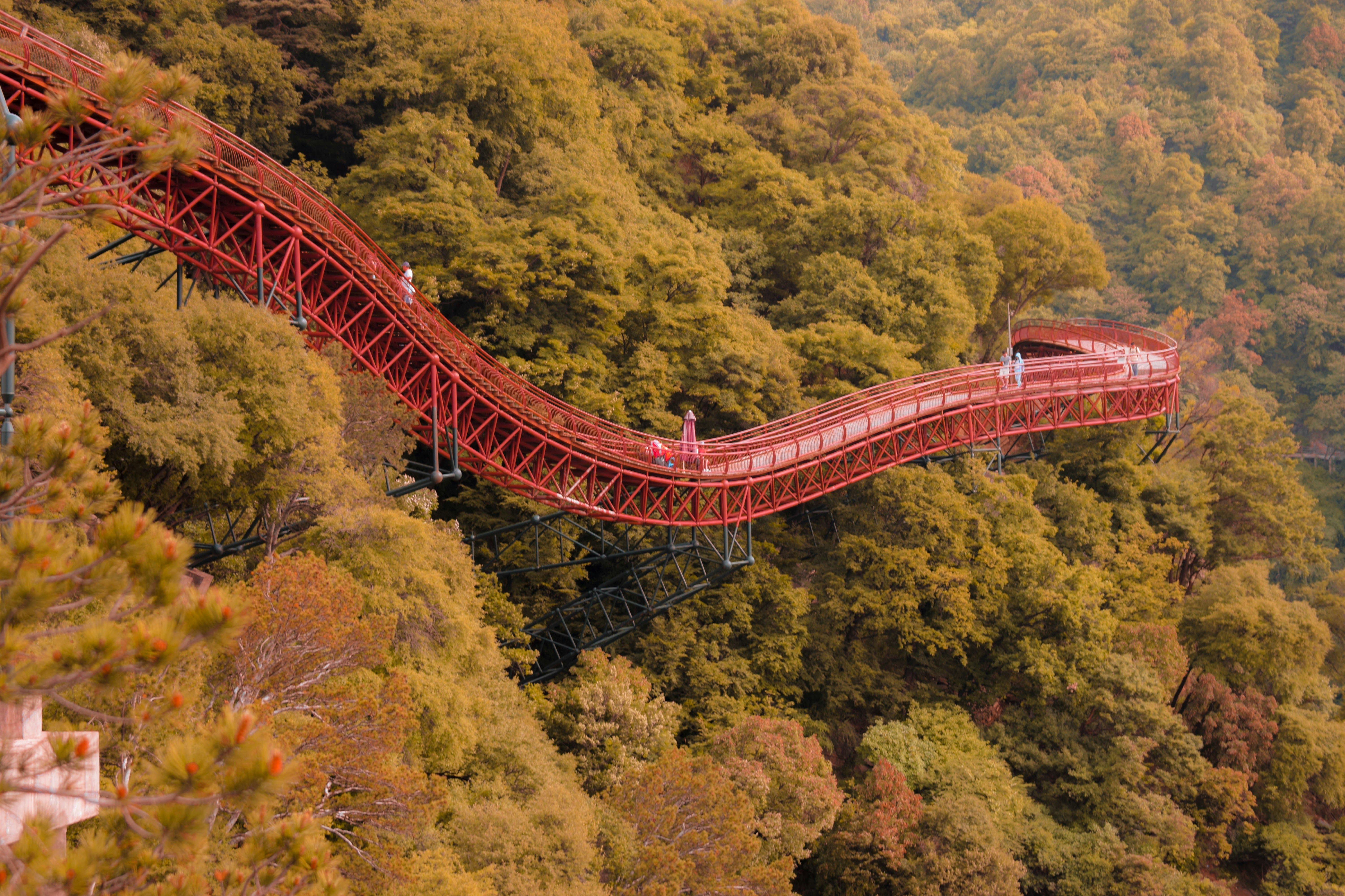 Curved red steel bridge weaving through dense forest with autumn foliage.