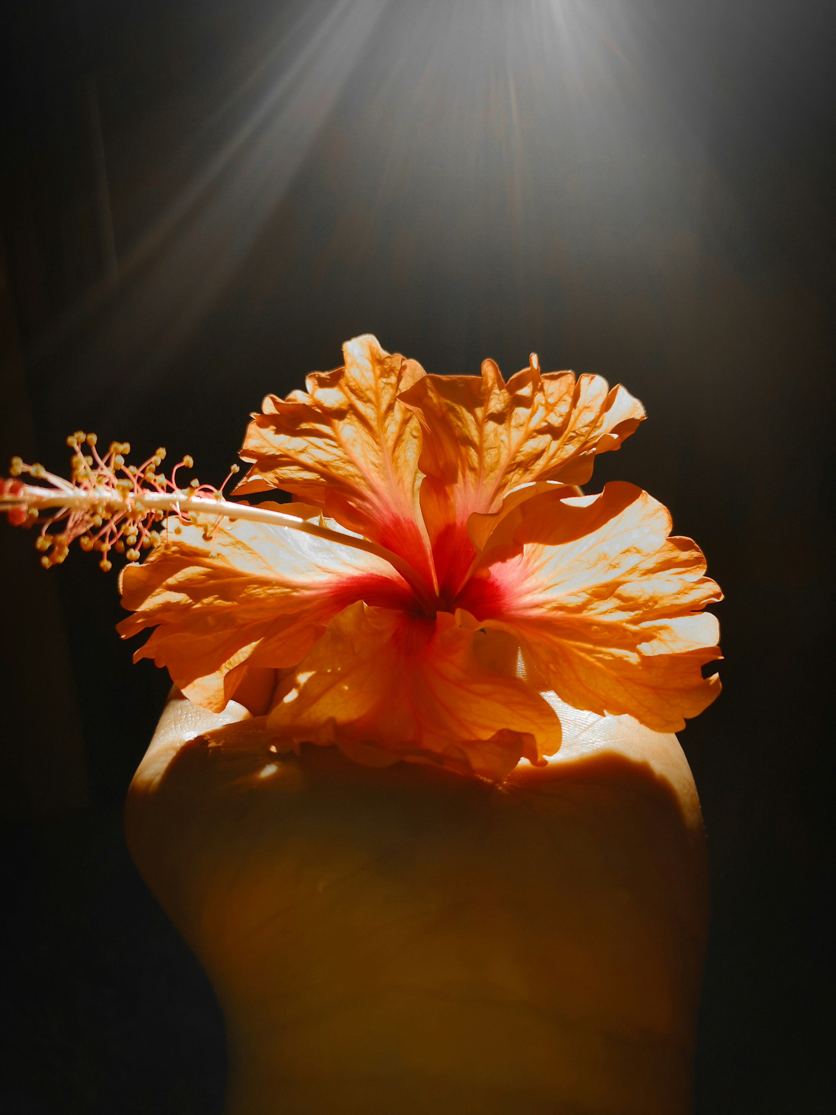 Akira zzz (@akira_a) | Unsplash Photo Community