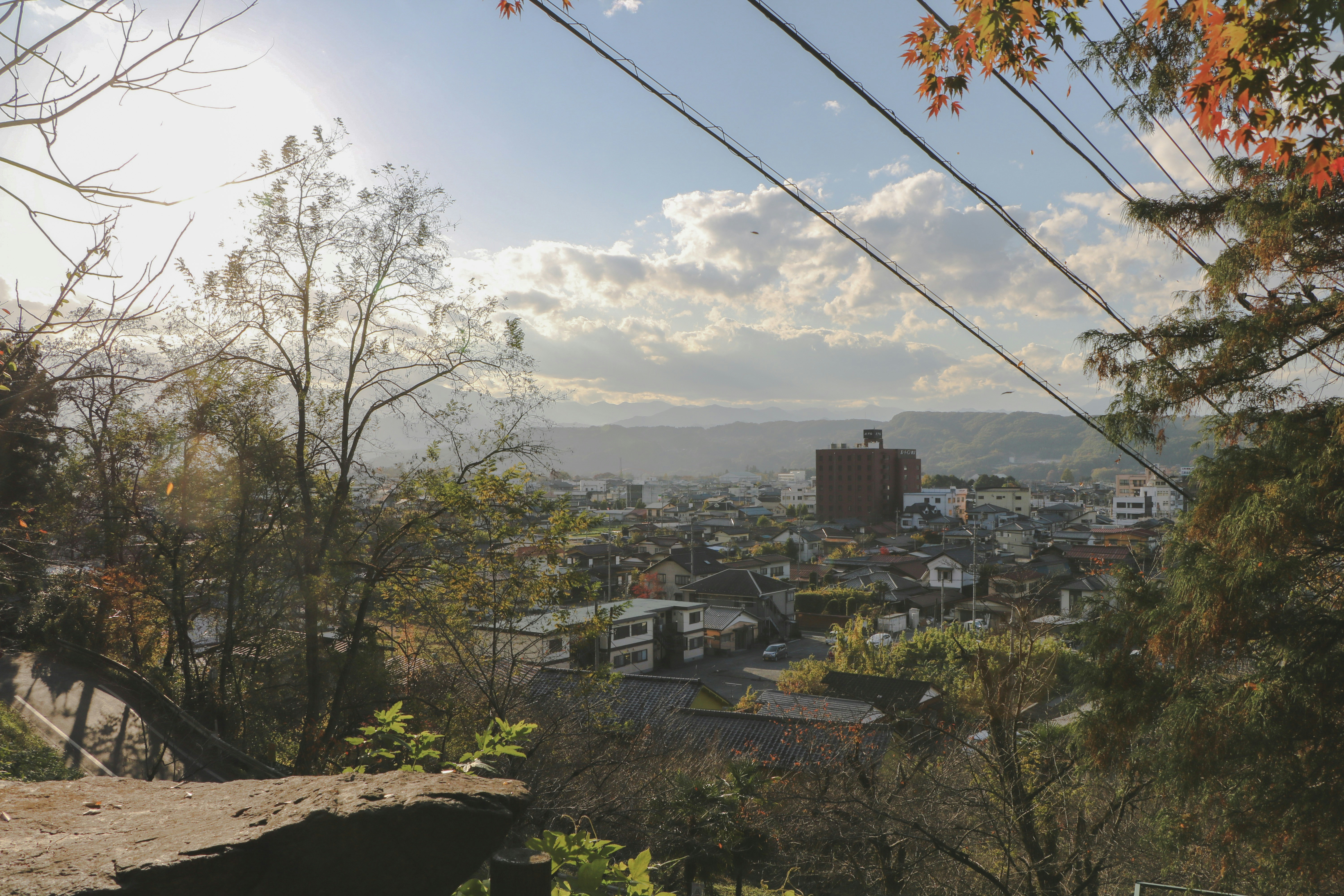 Cityscape viewed from a hillside, framed by autumn foliage and power lines under a partly cloudy sky.