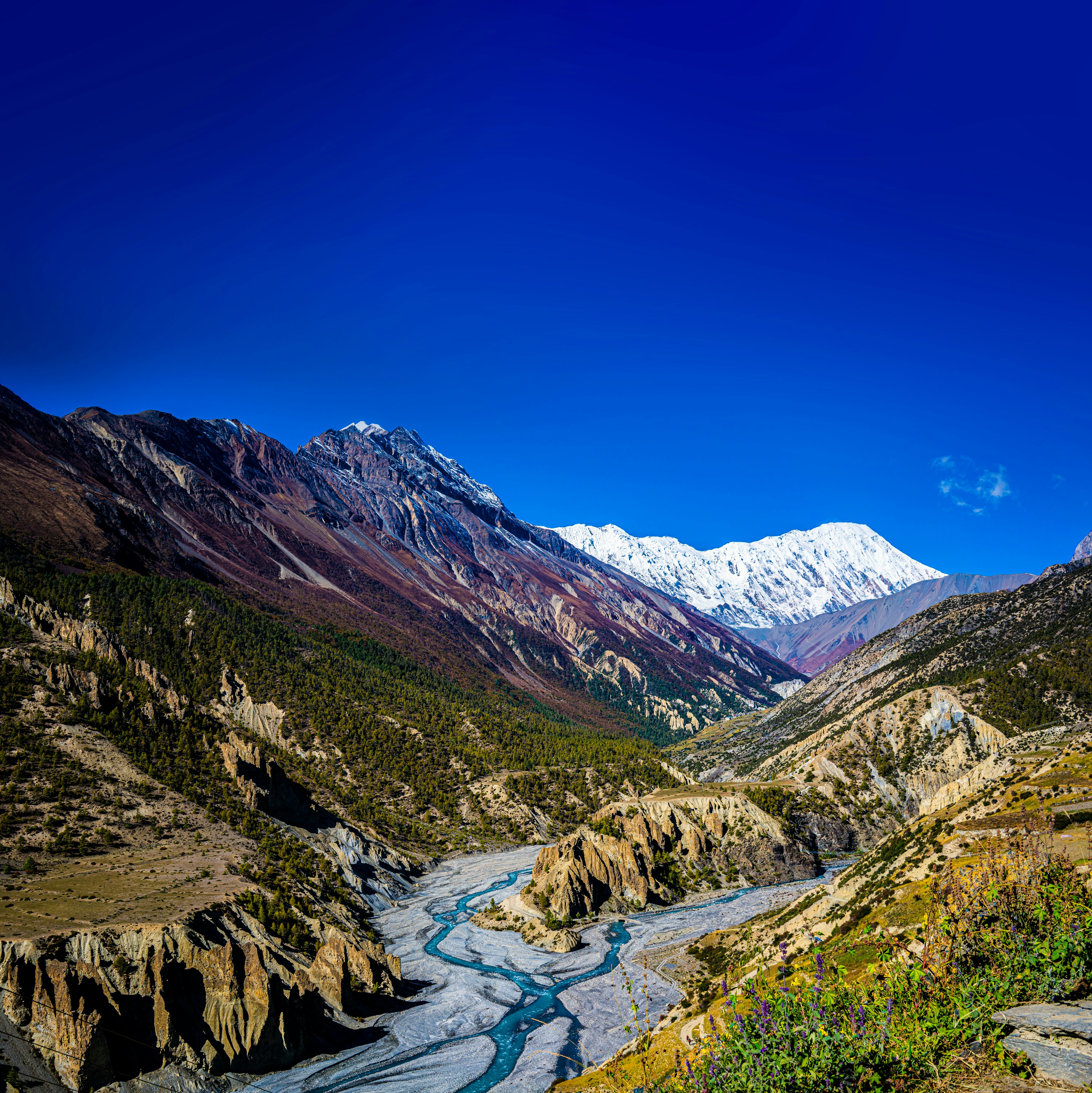 Aerial photography of winding body of water between mountains photo ...