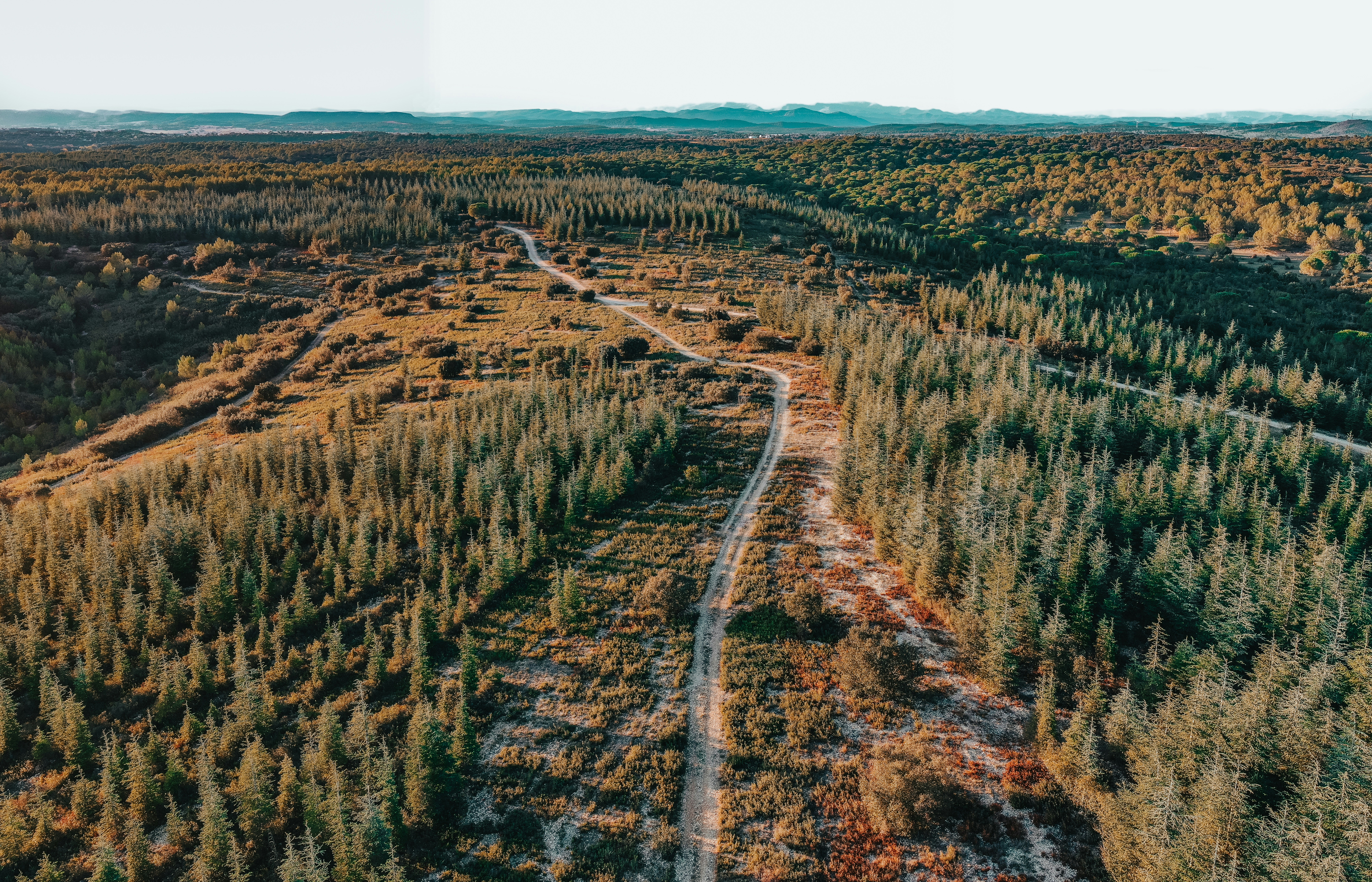 Définition de garrigue | Dictionnaire français