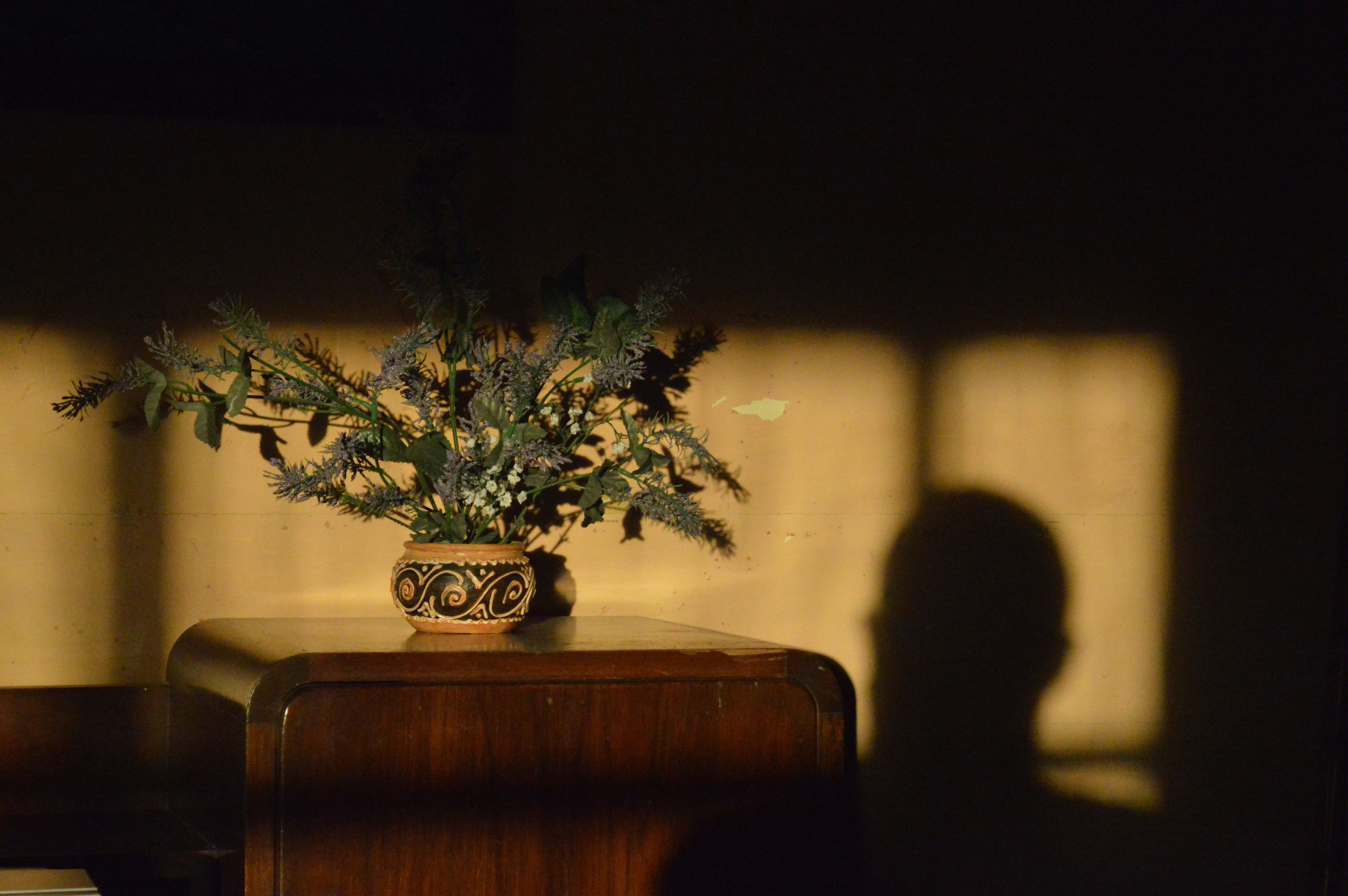 Sunlit Vase and Shadow Portrait on a Vintage Cabinet