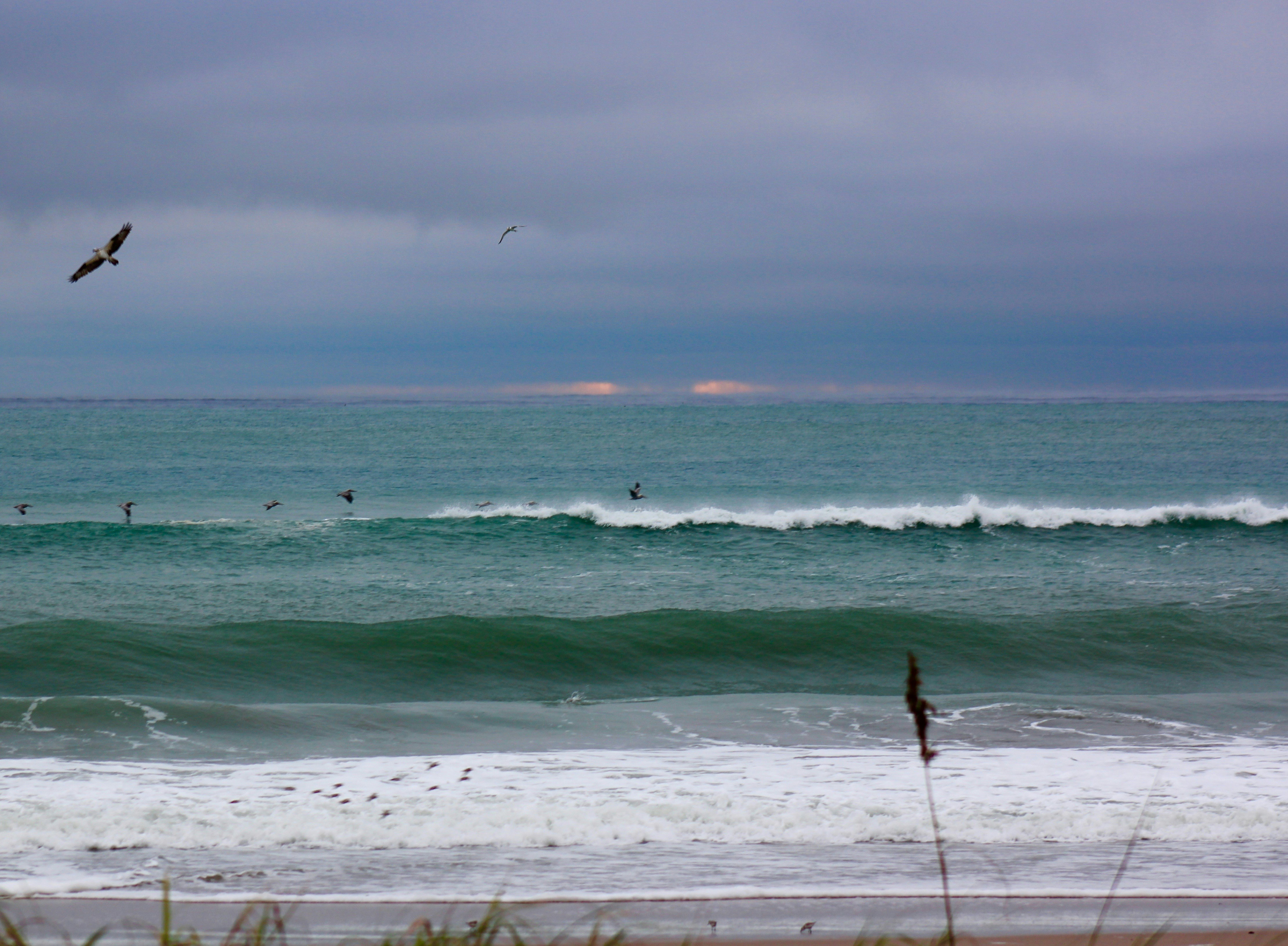 Palm Beach Pictures | Download Free Images on Unsplash