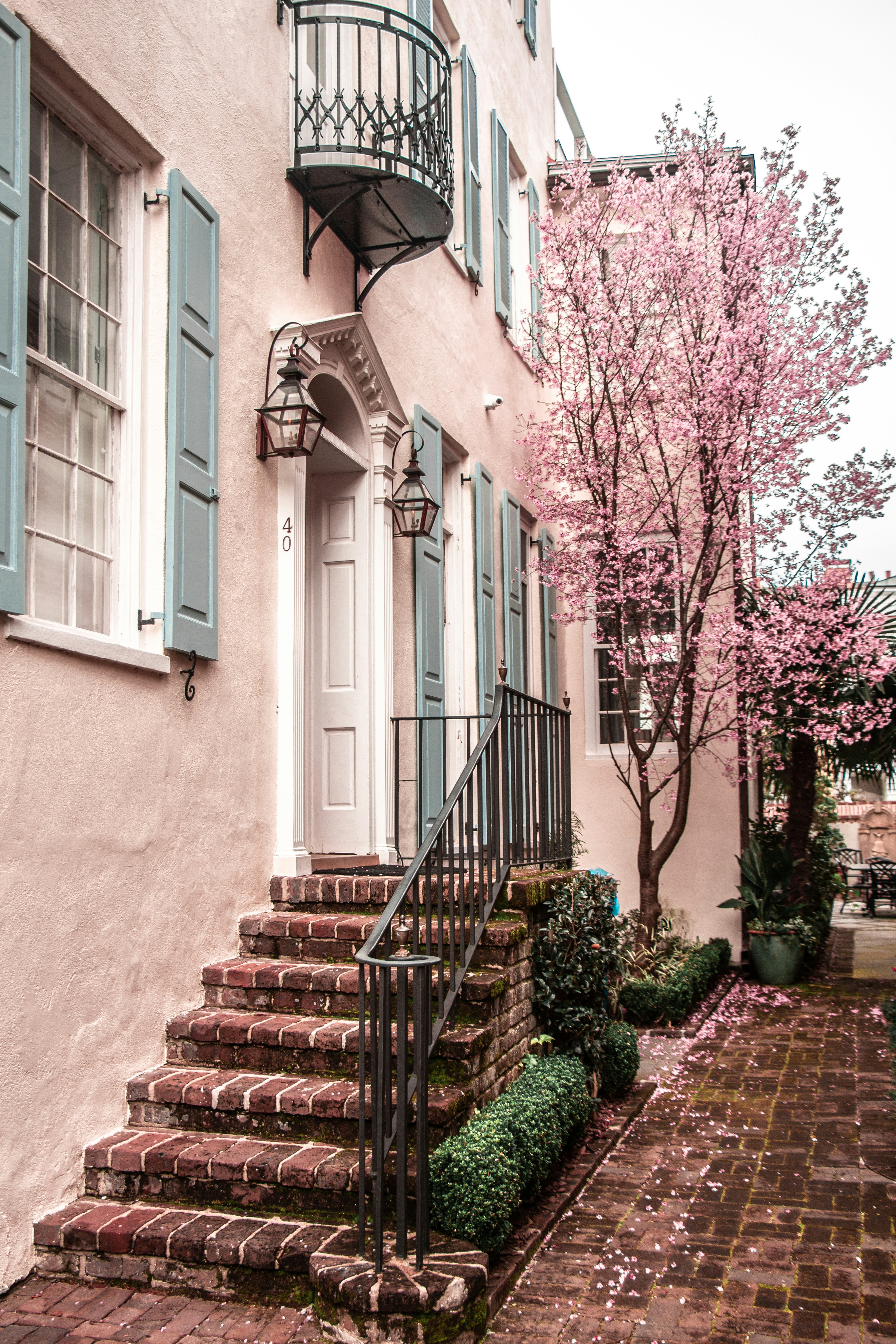 Pink trees near house photo – Free Flower Image on Unsplash