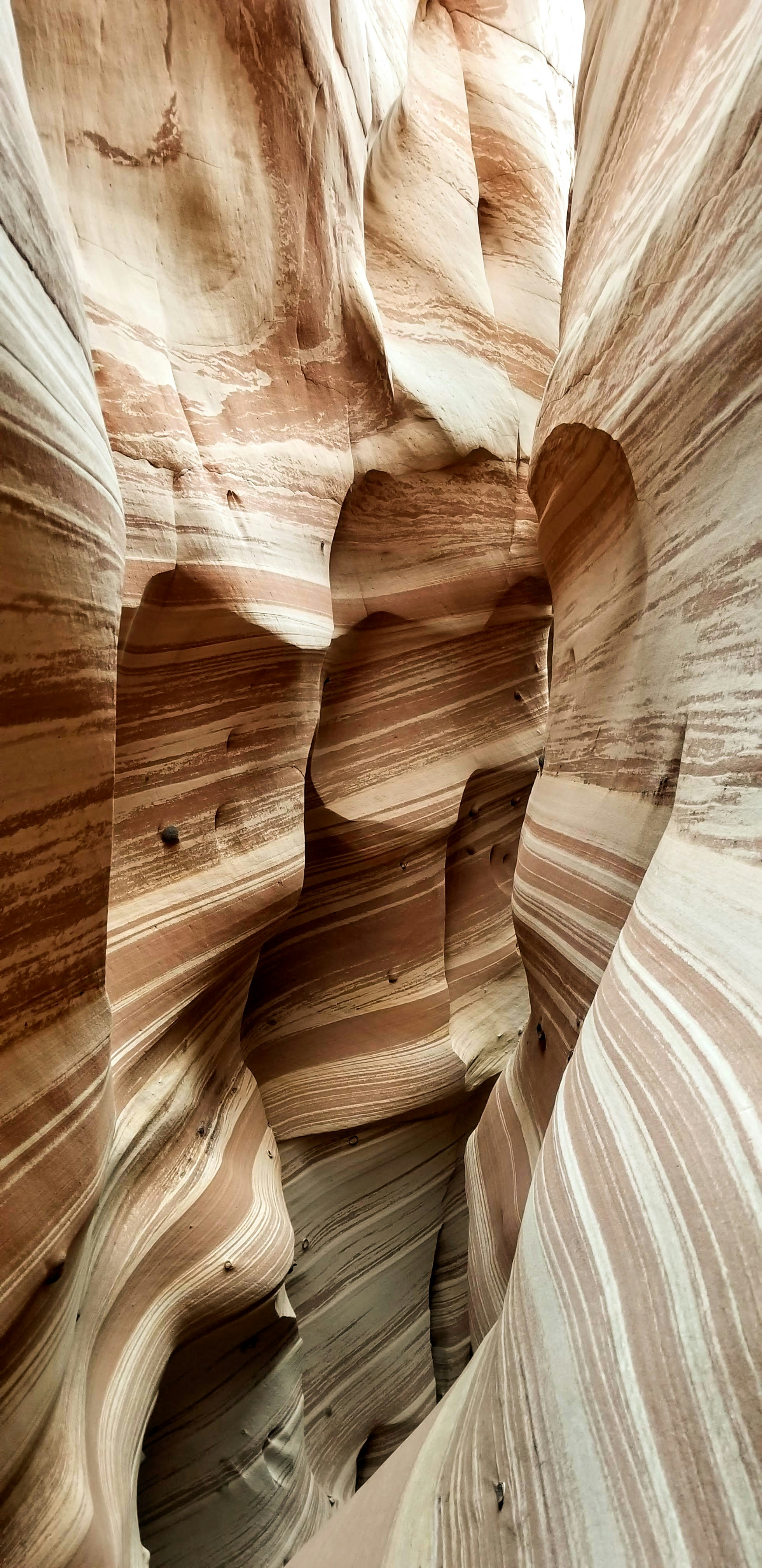 Brown canyon photo – Free Utah Image on Unsplash