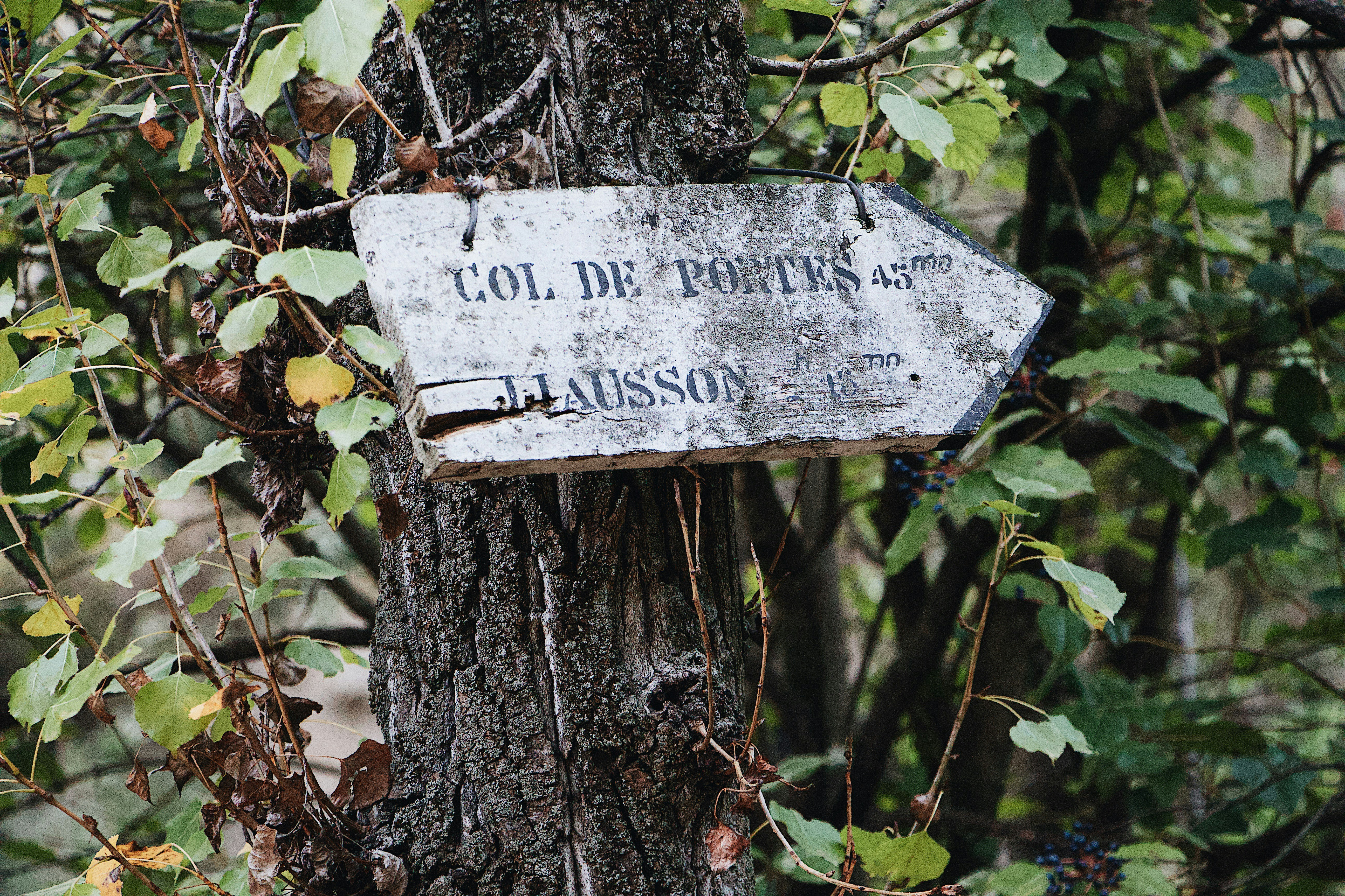gray wooden signage
