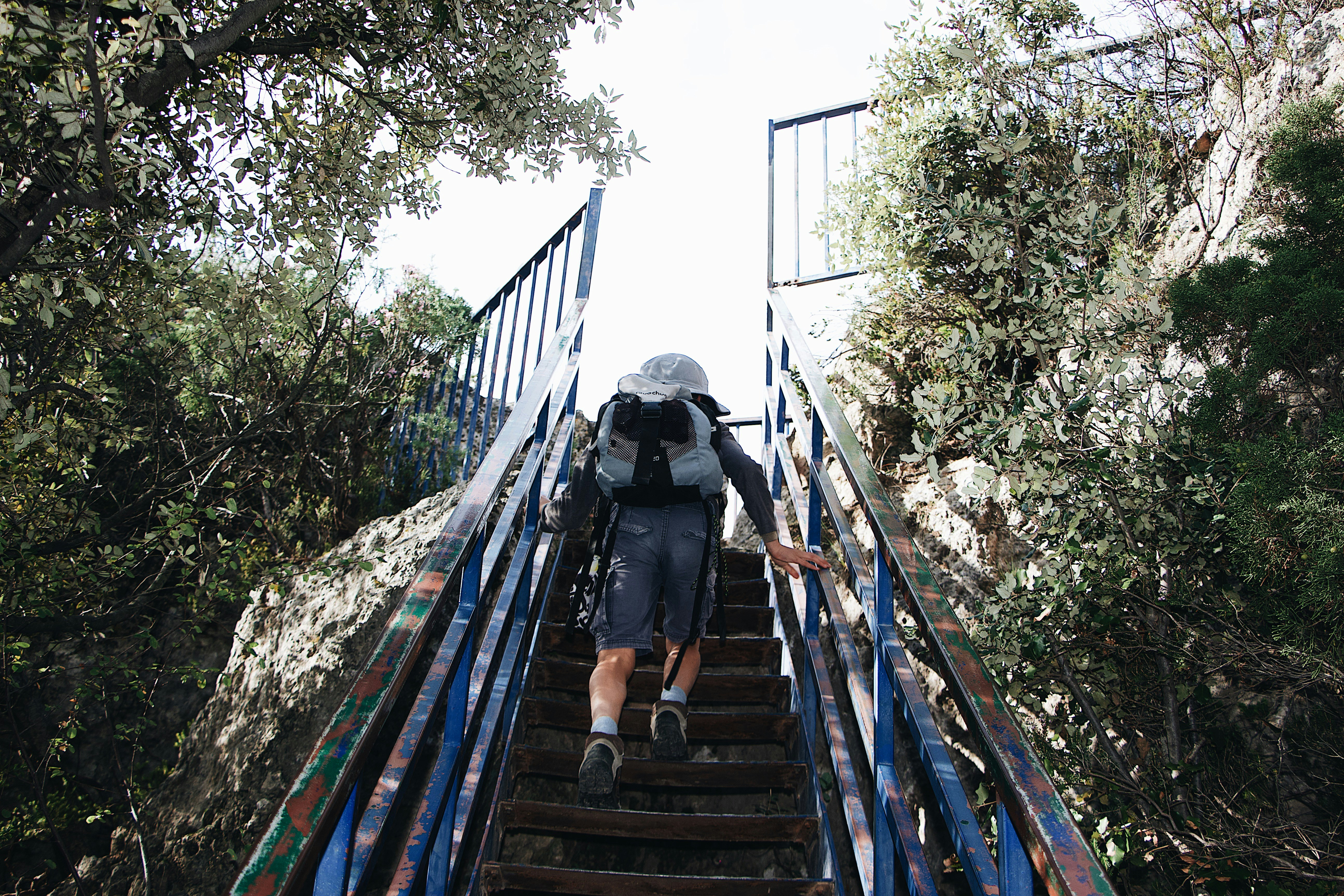 Blue-Railed Ascent: Climber Surges Up a Narrow Staircase Surrounded by Sunlit Foliage