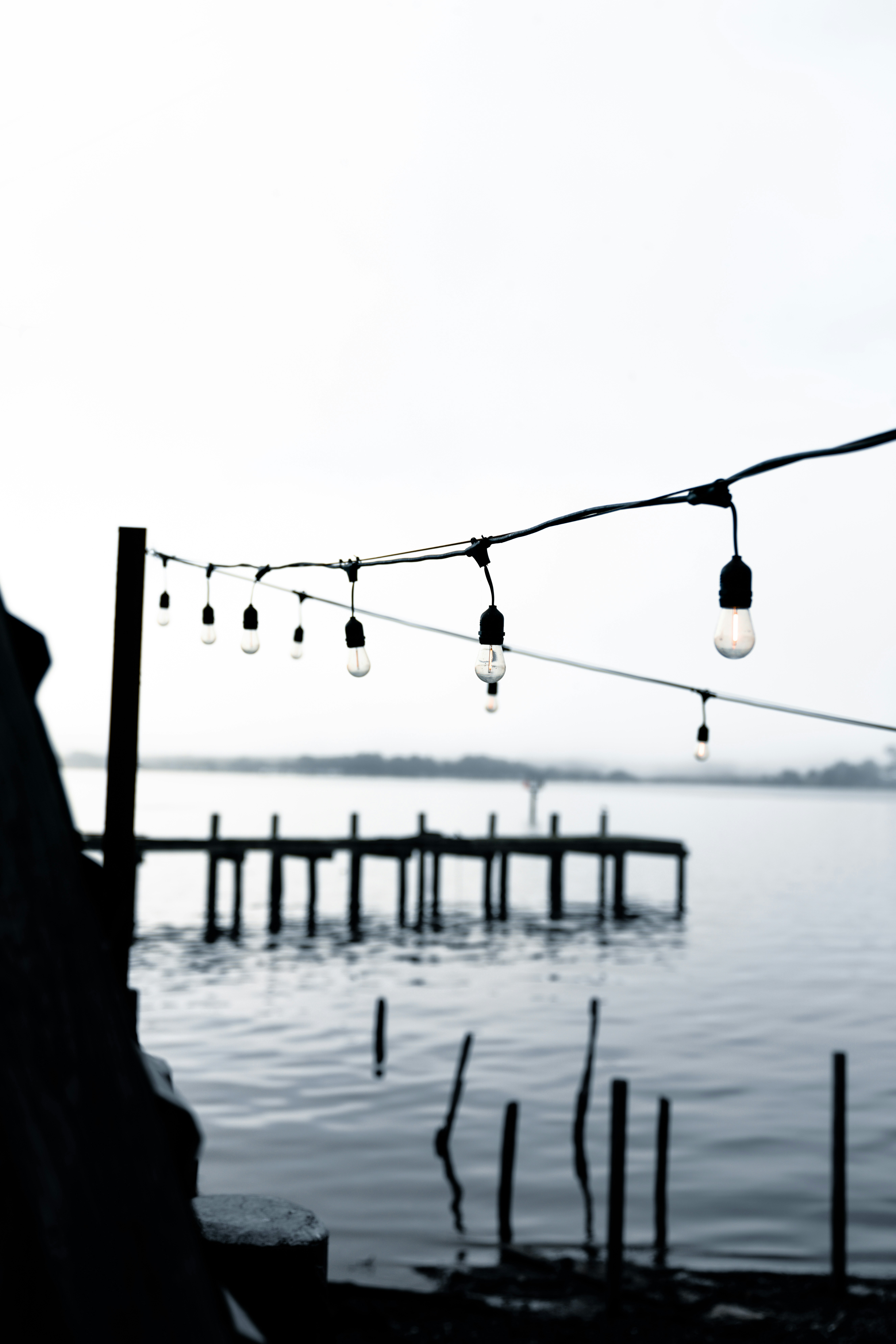 Shallow focus photo of light bulbs photo – Free Sea Image on Unsplash