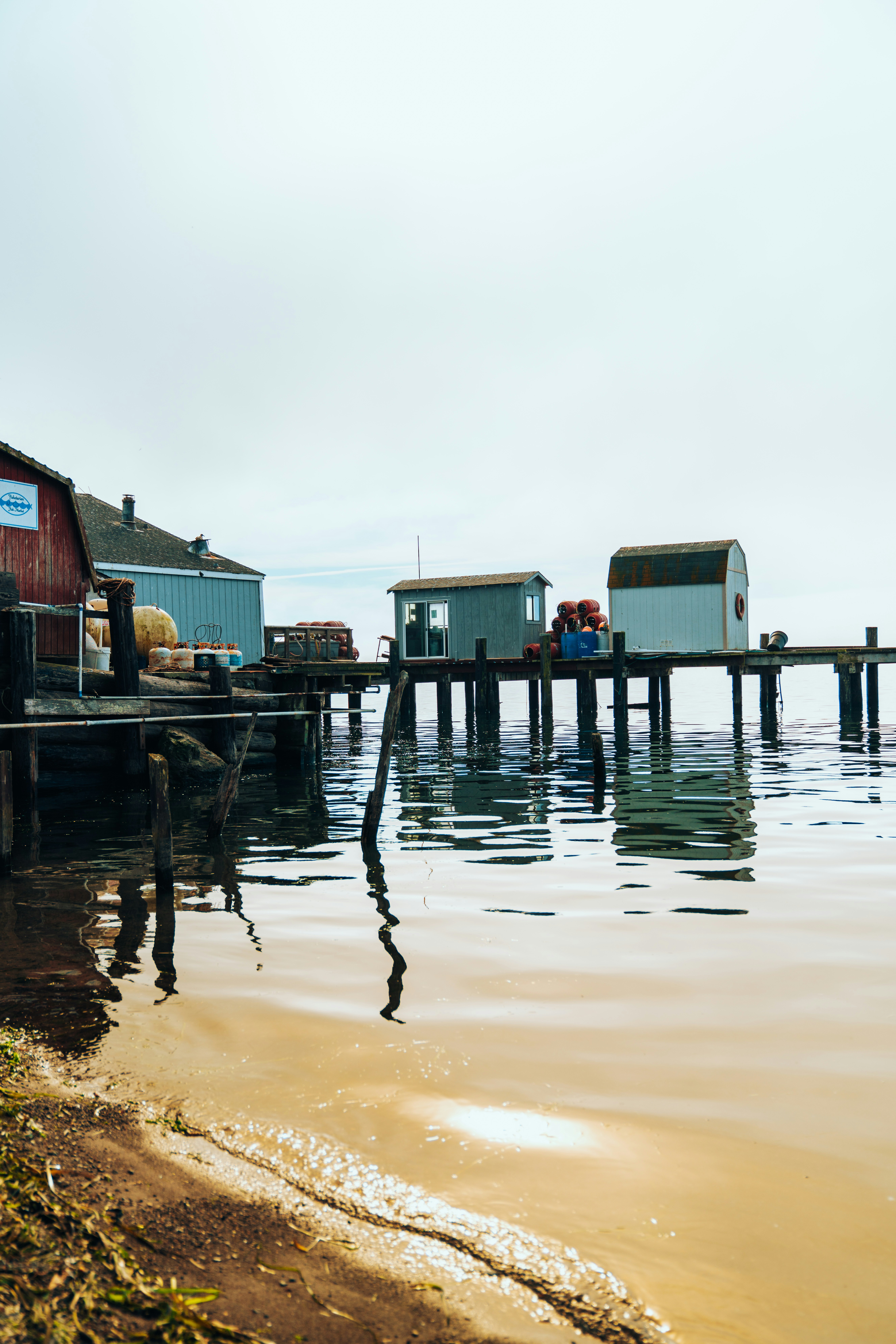 Définition de bodega | Dictionnaire français
