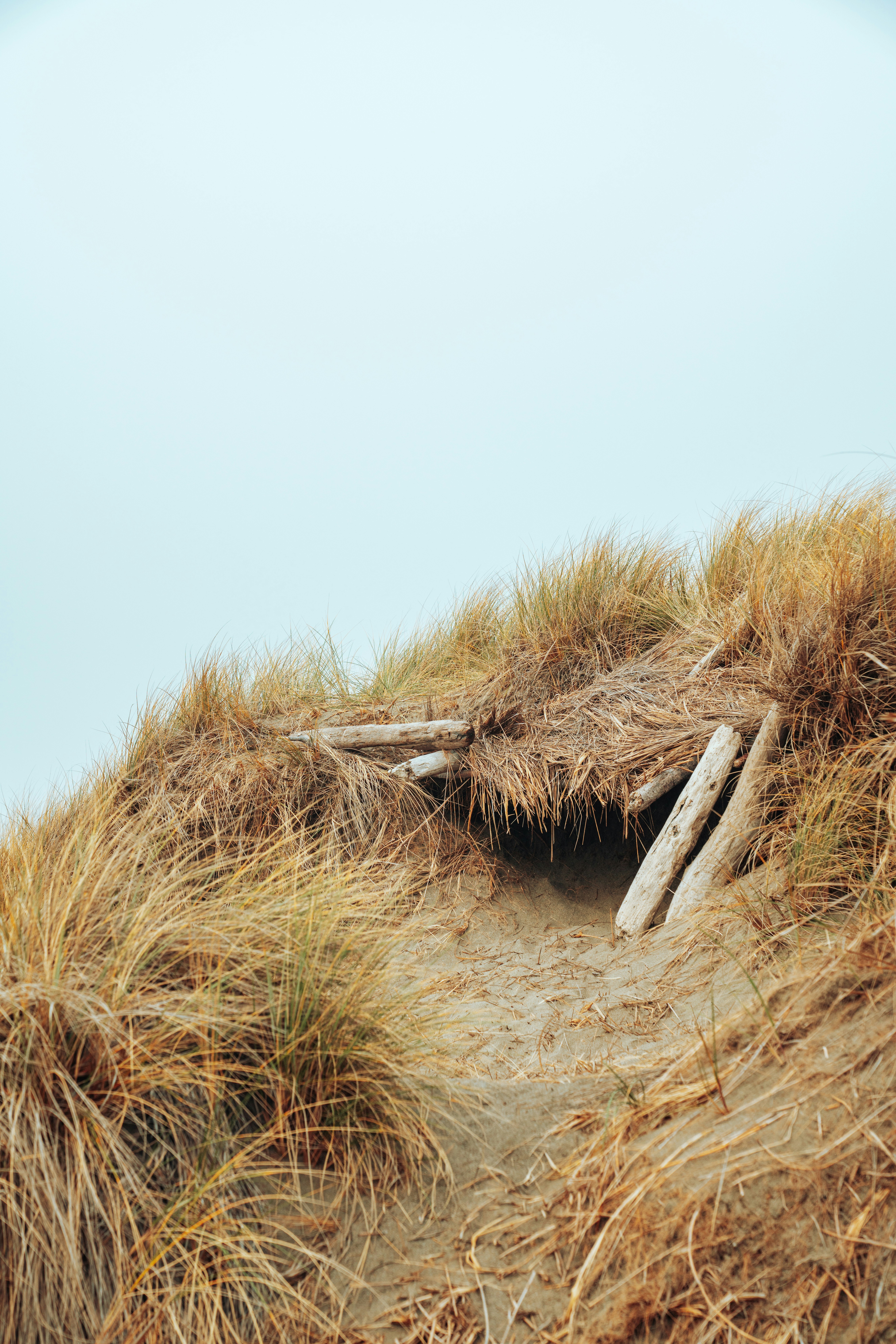 Driftwood Gate in the Dune's Sunlit Hollow