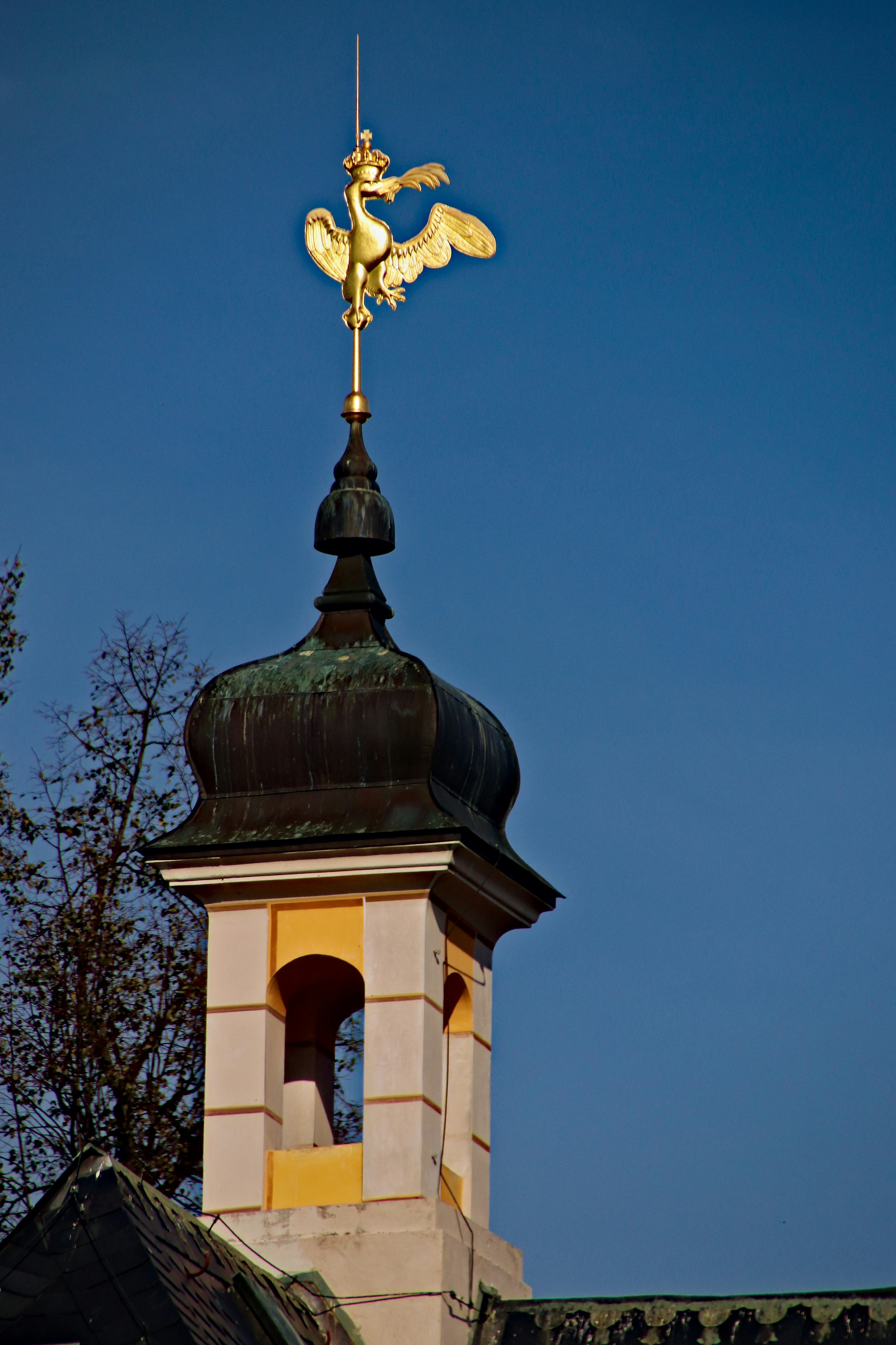 White and gray tower building near green tree photo – Free Schloss ...