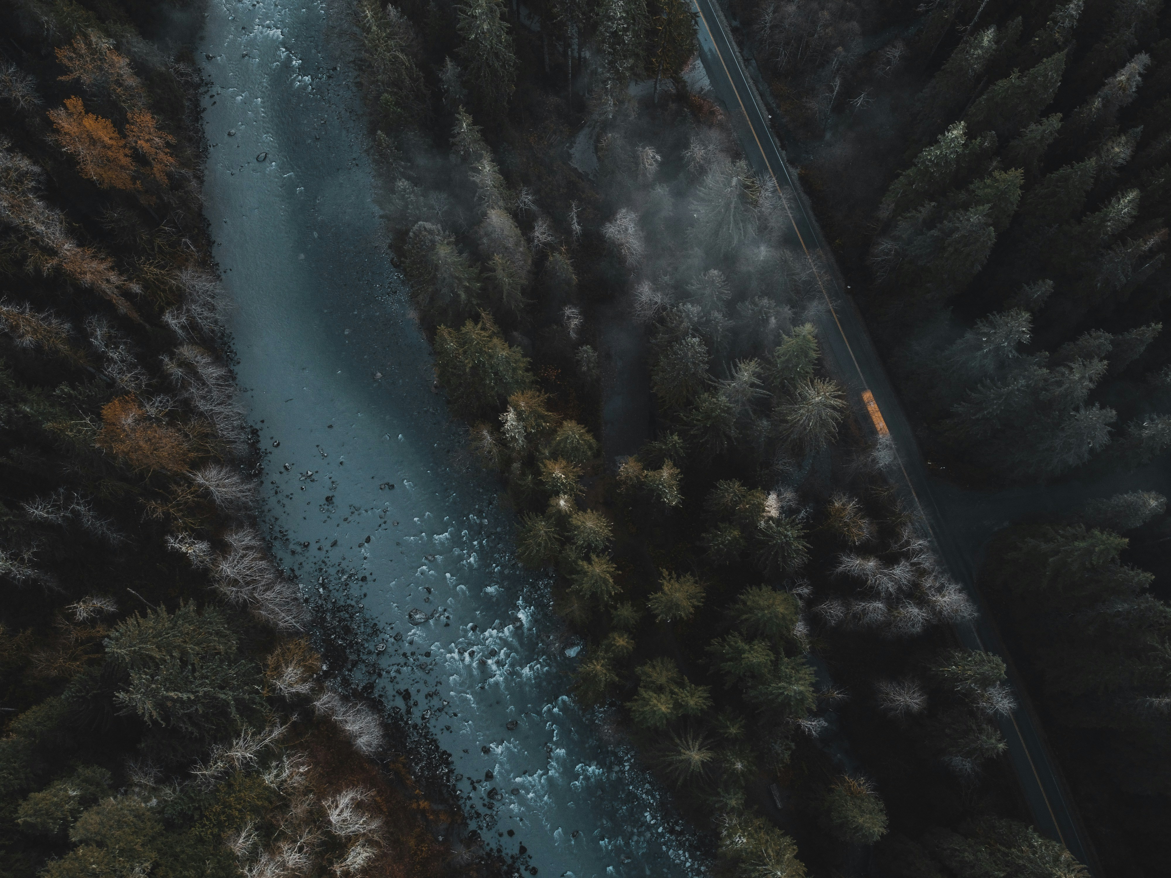Aerial view of a winding river bordered by dense forests, showcasing autumn hues and mist rising from the water's surface.
