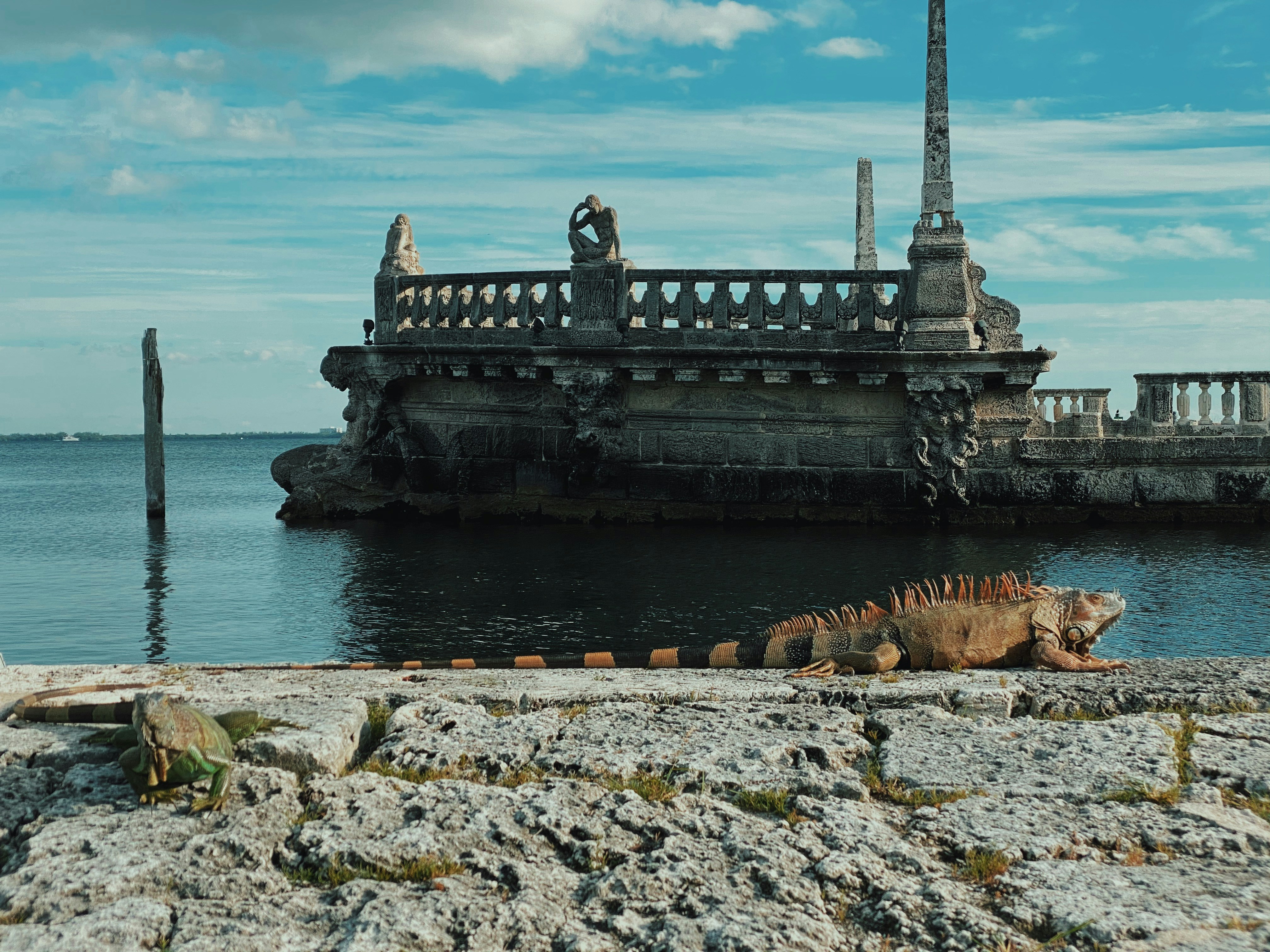 Pierside Reverie: A Distant Figure and a Lizard Amid Blue Water