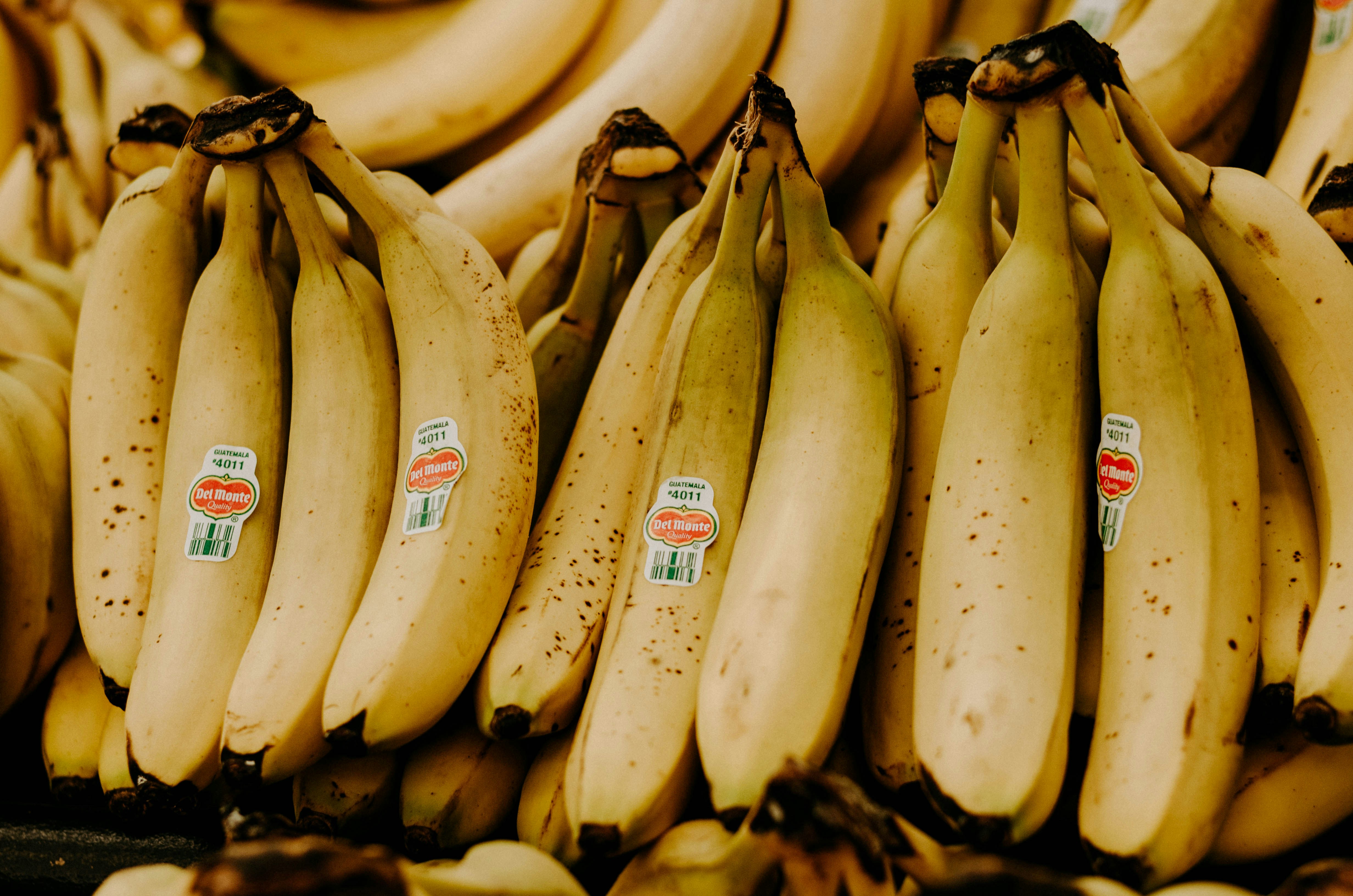 Yellow banana lot photo – Free Brown Image on Unsplash