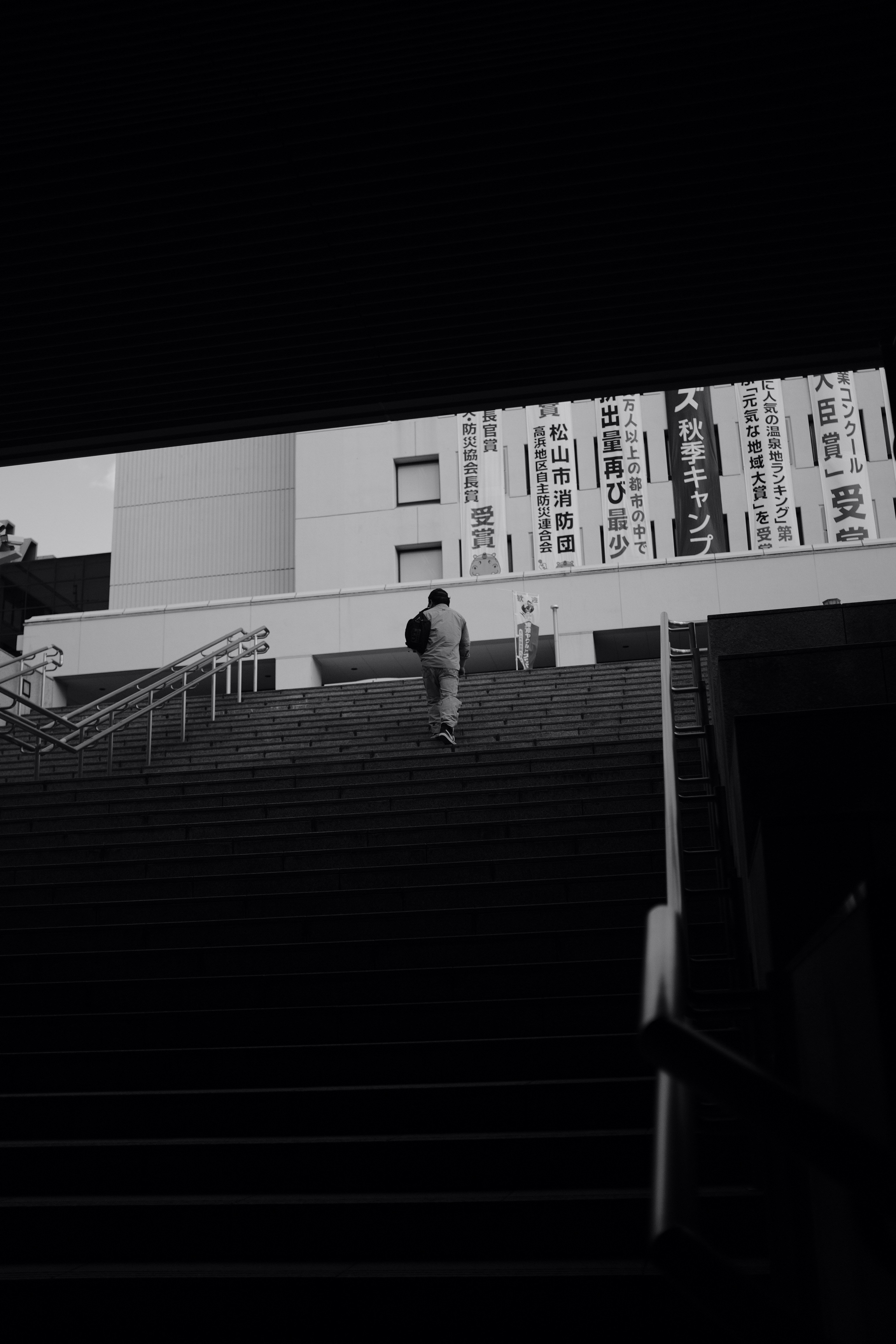 Grayscale photo of person climbing stair photo – Free Human Image on ...