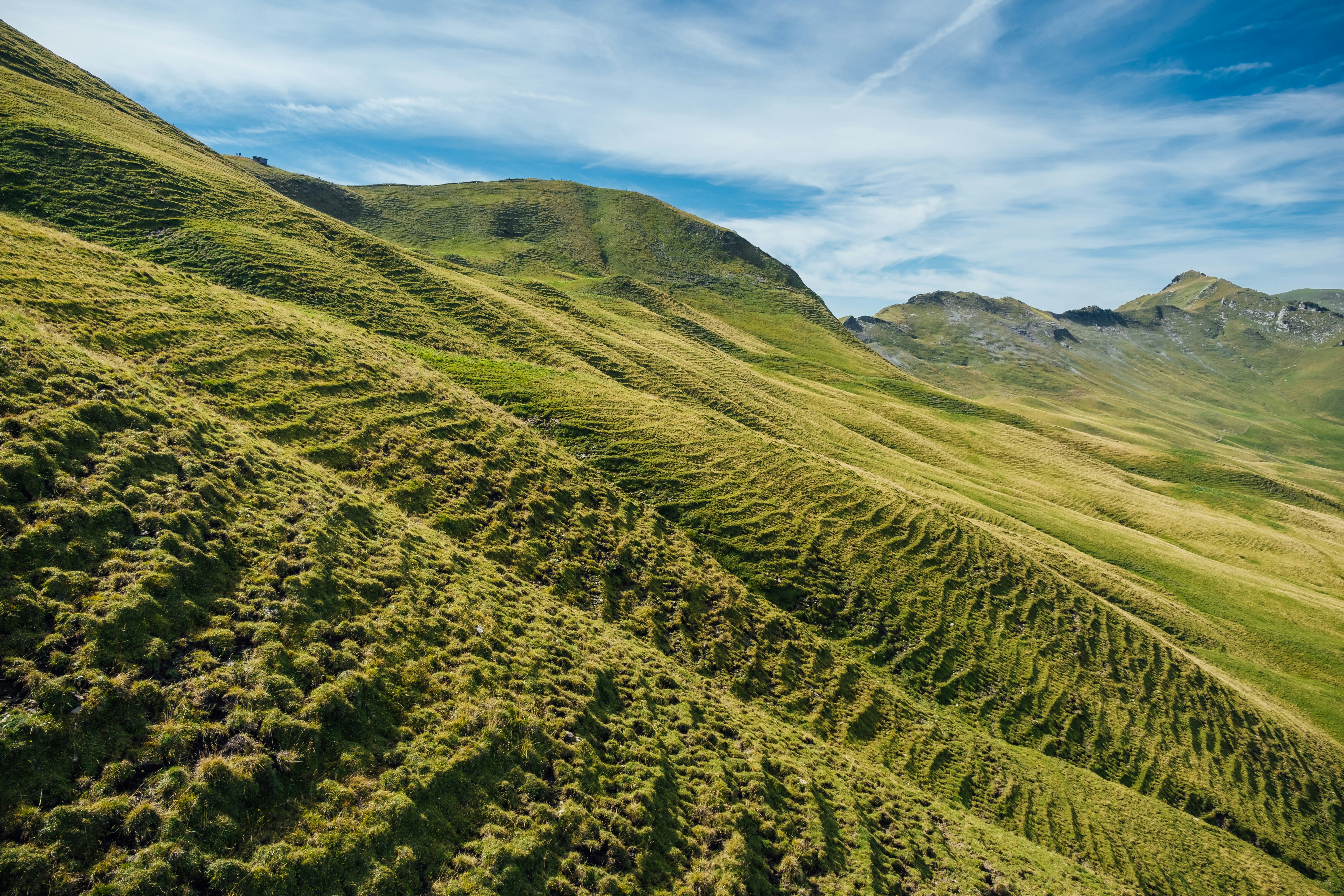 Ridge Lines: A Quiet Panorama of Rolling Green Hills