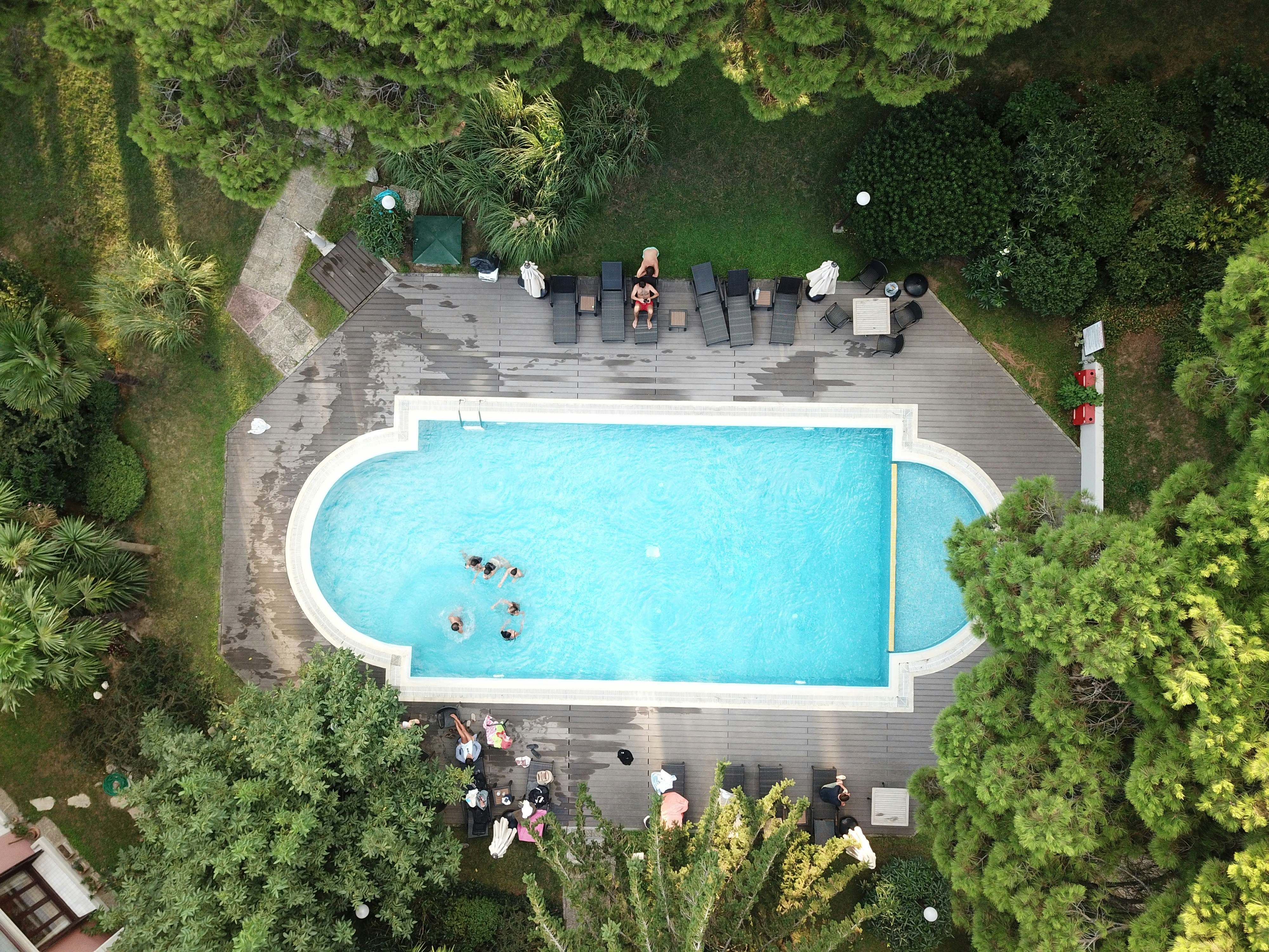 Aerial photo of swimming pool surrounded by trees photo – Free Turkey ...