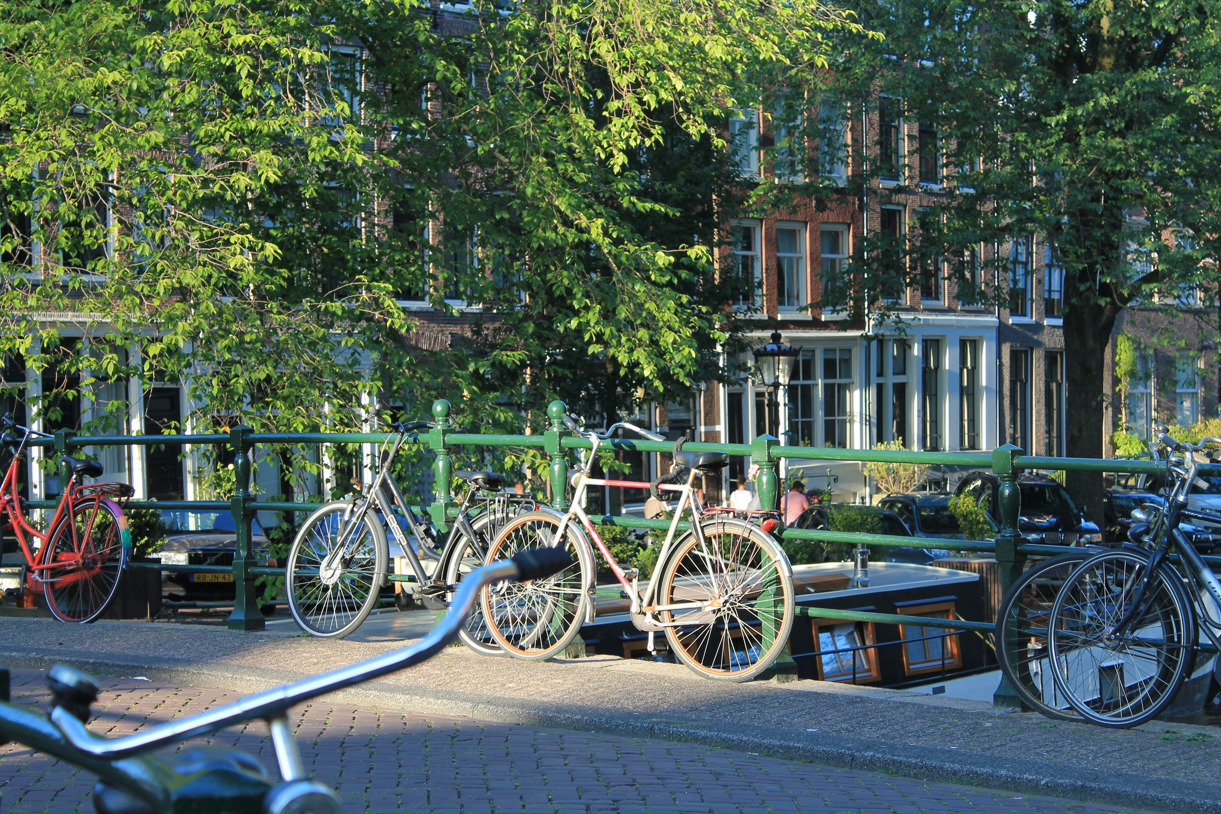Row of bicycles by a canal-side railing under leafy shade
