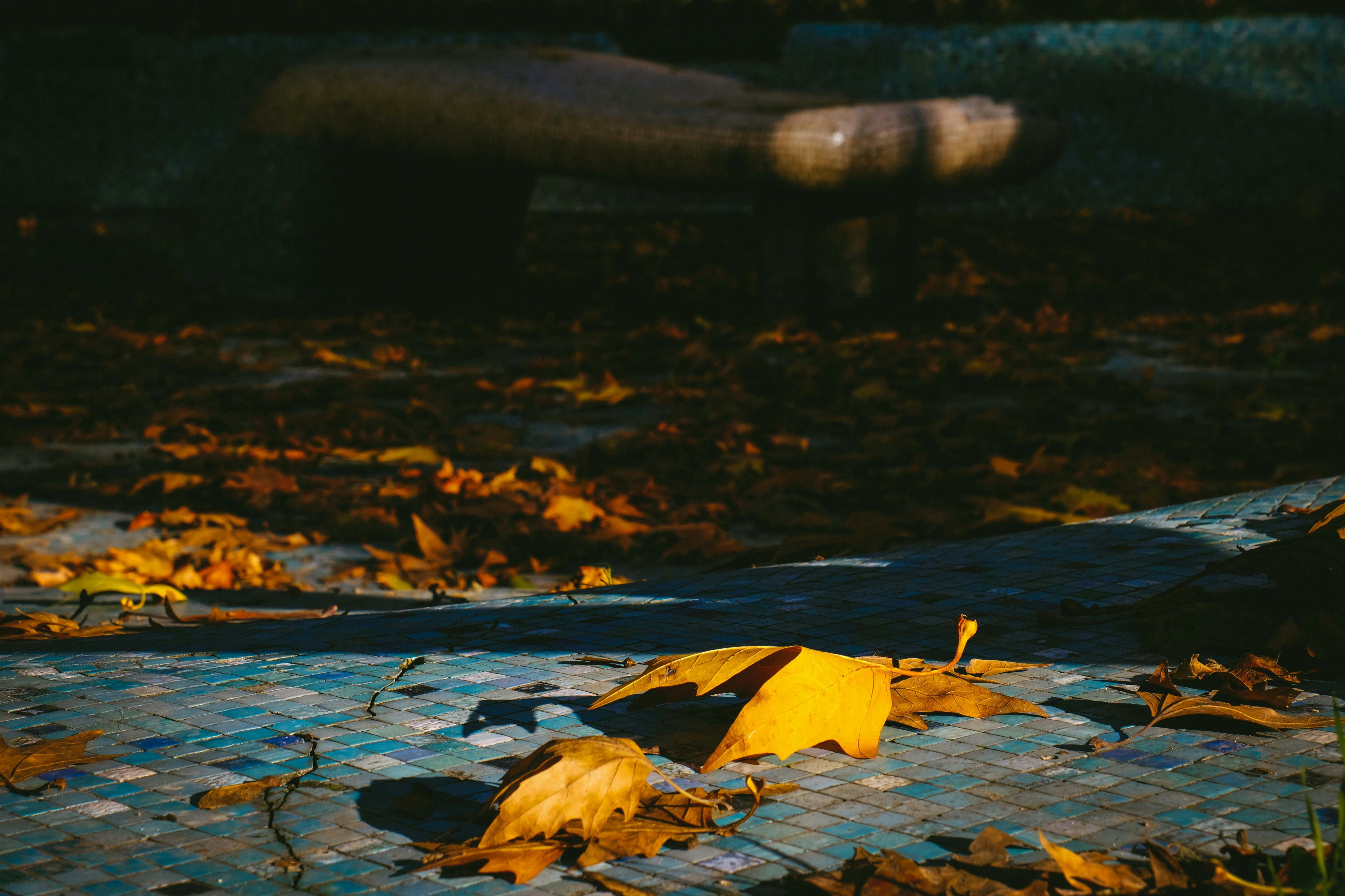 Golden Leaf on a Cerulean Mosaic in Quiet Dusk
