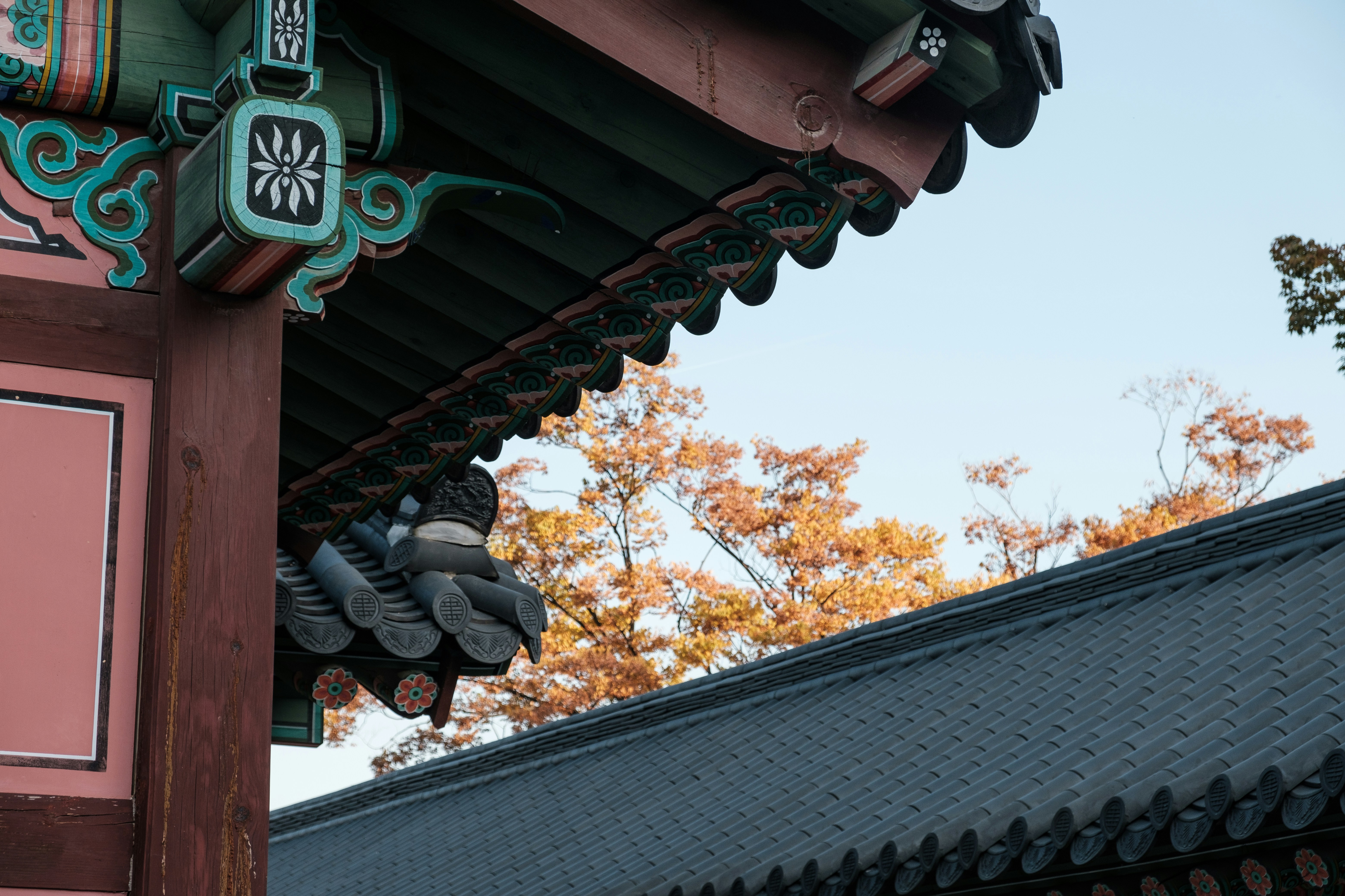 Yu Kato (@yukato) | Unsplash Photo Community