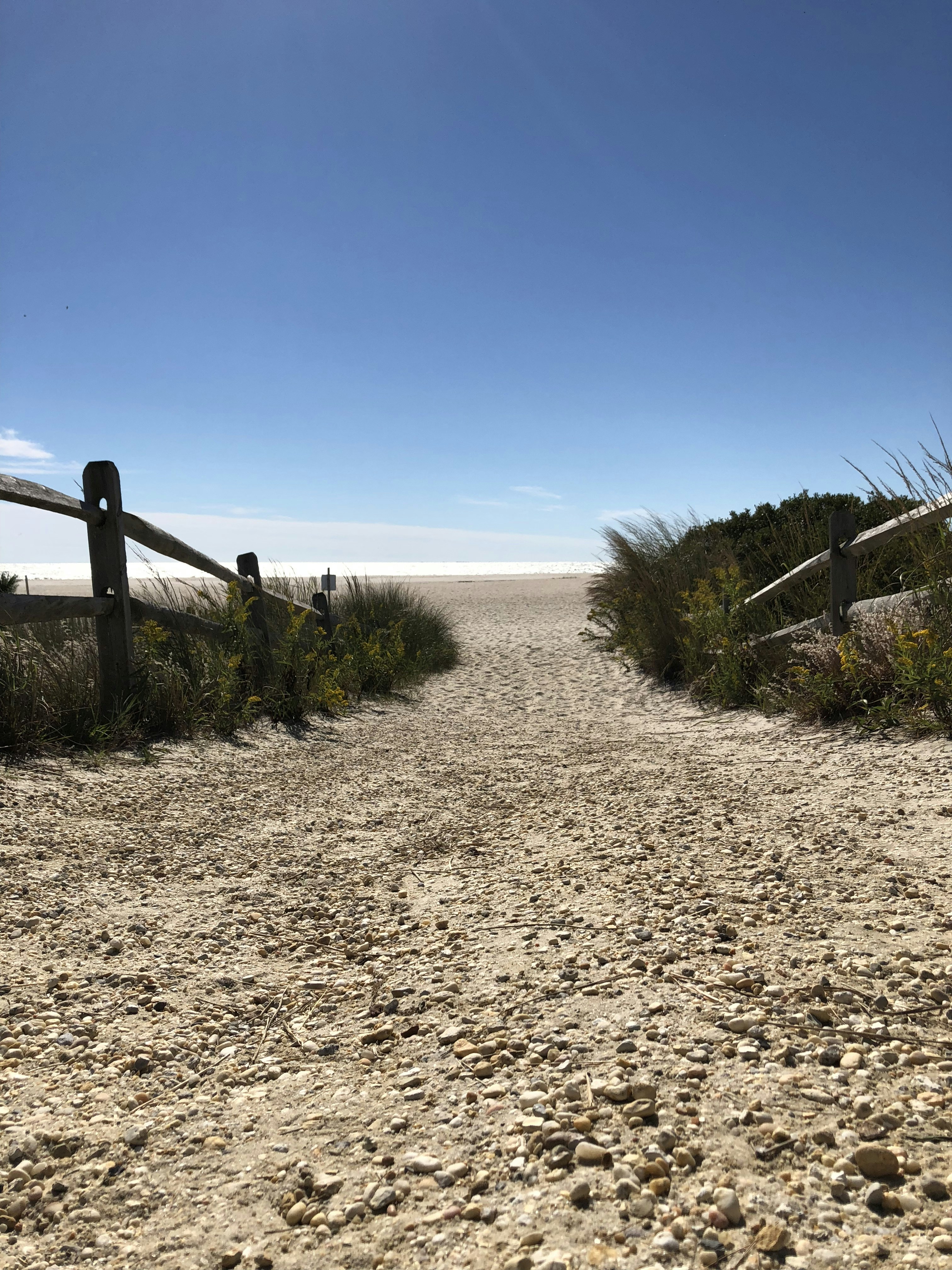 500+ May Thai Pictures [HD] | Download Free Images on Unsplash