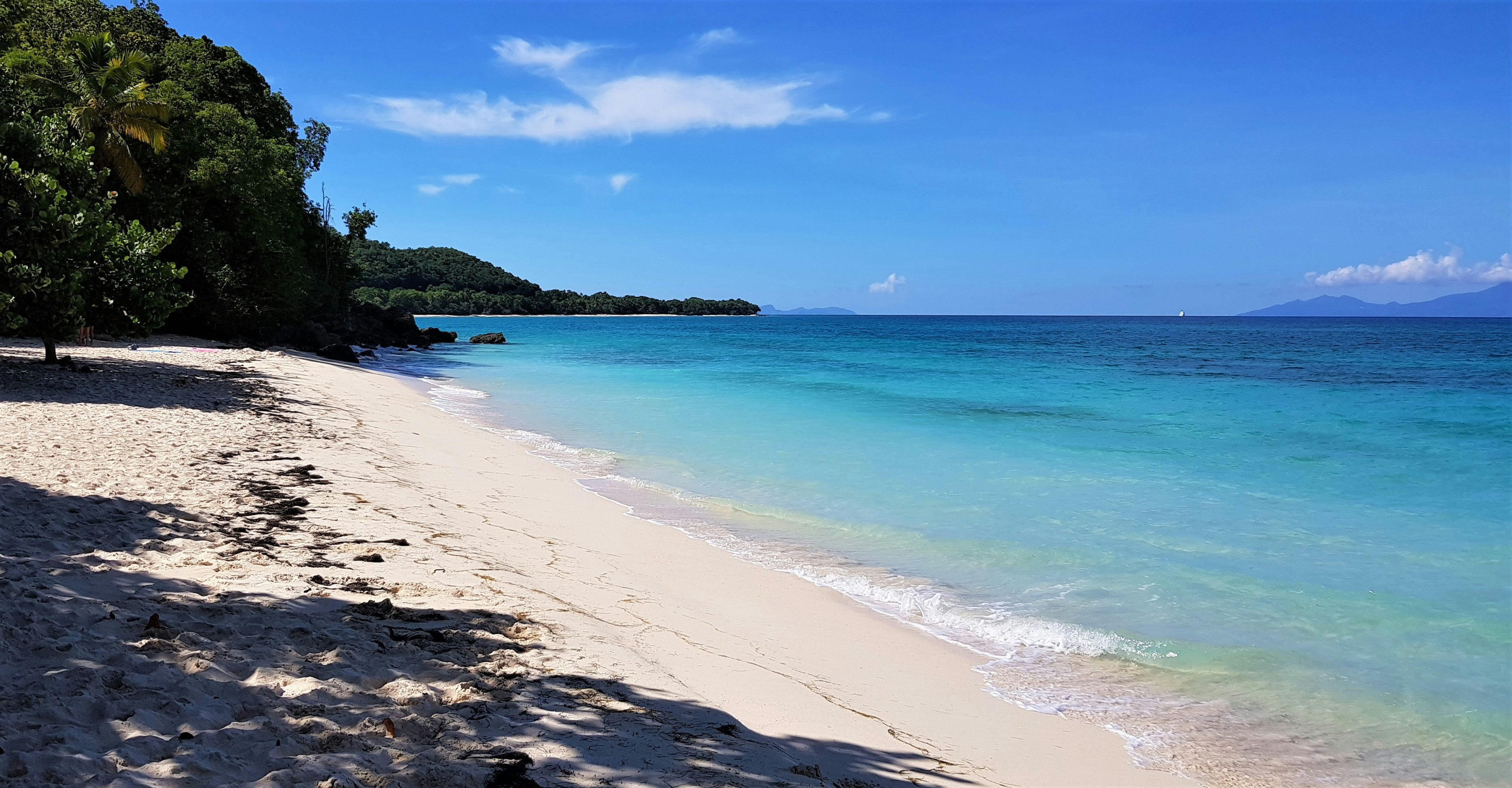 Sea beside trees photo – Free Blue Image on Unsplash