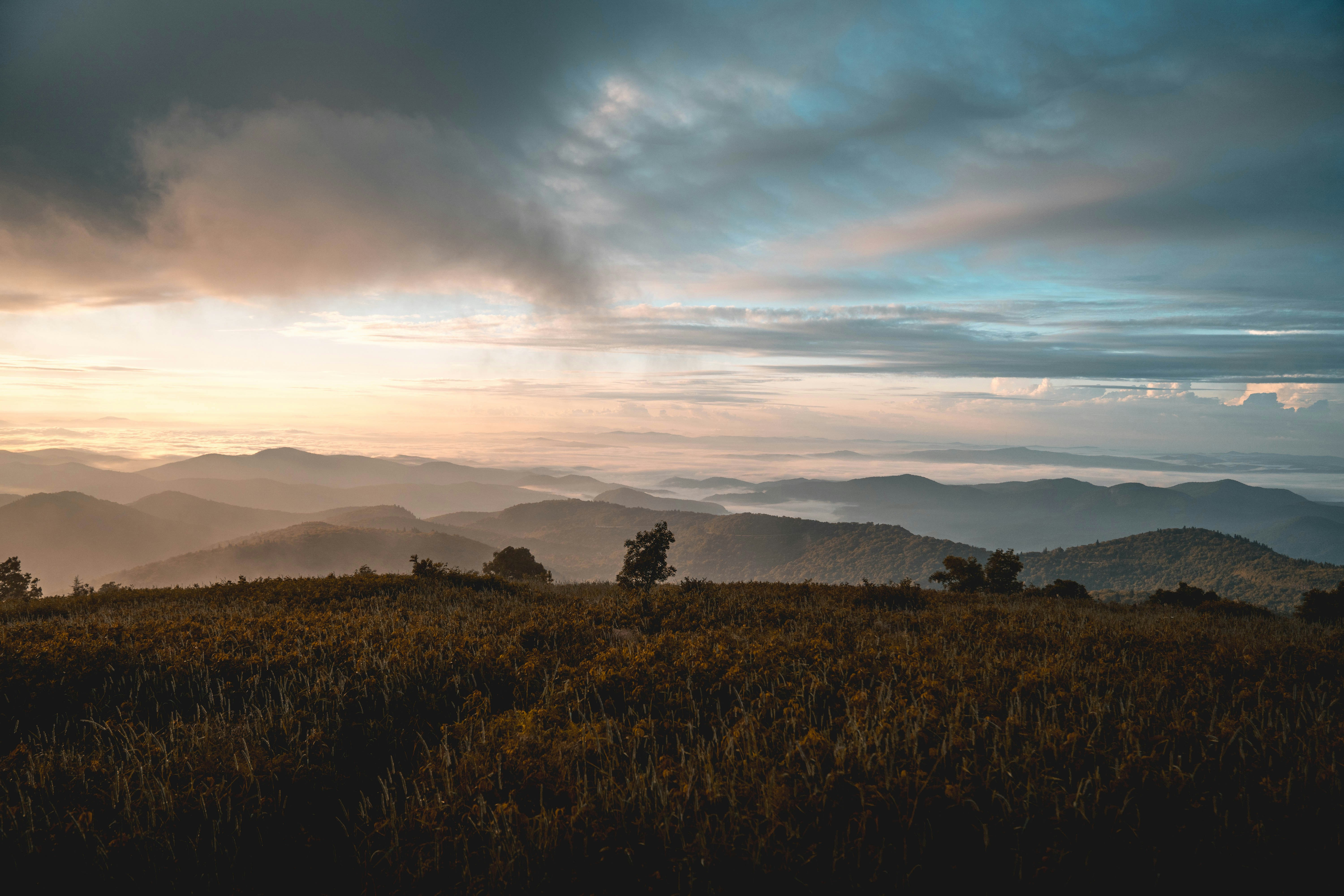 Photo by Darrell Moore with Sony Alpha 7 III