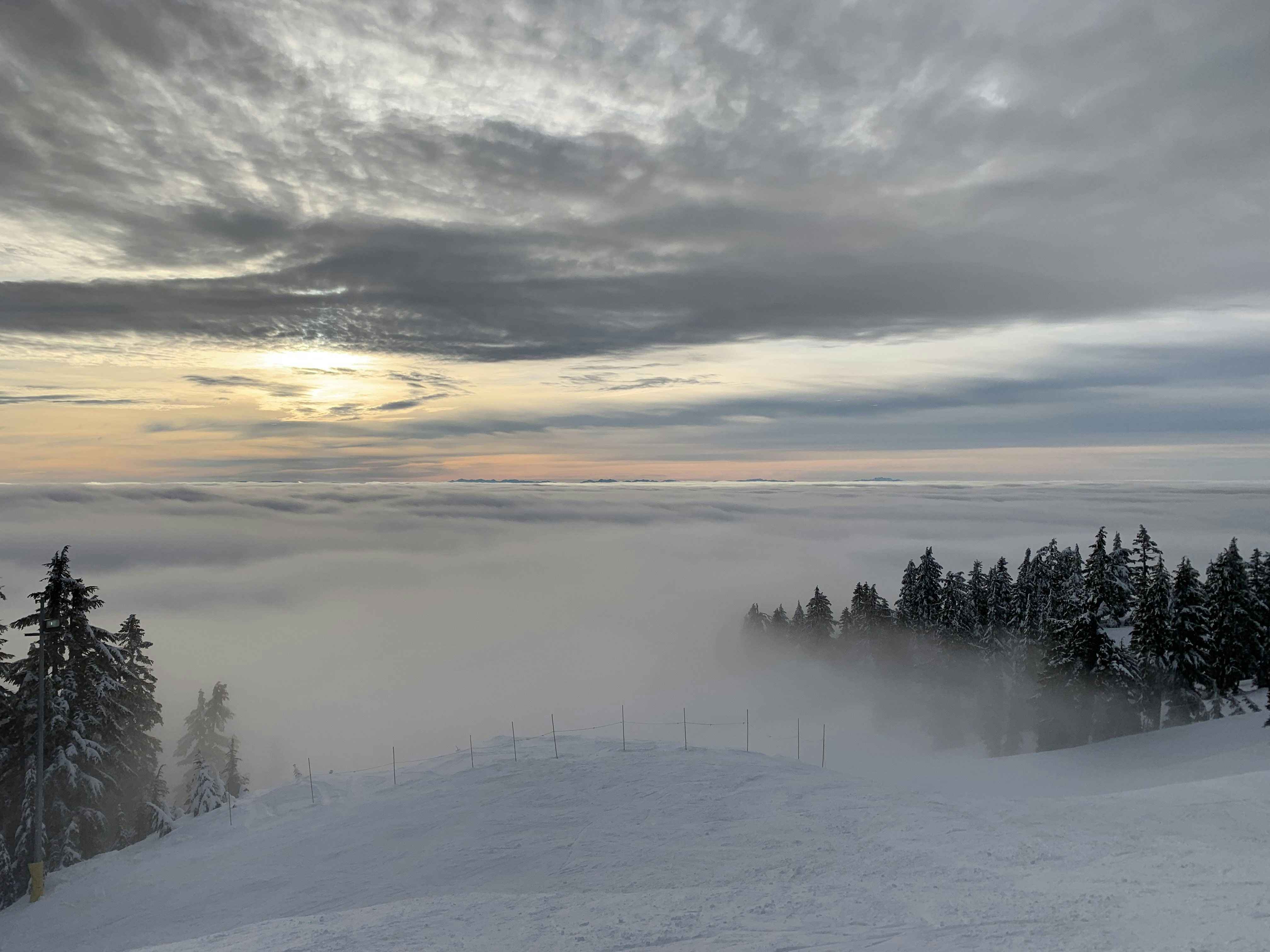 Whispering Dawn Over Misty Pines