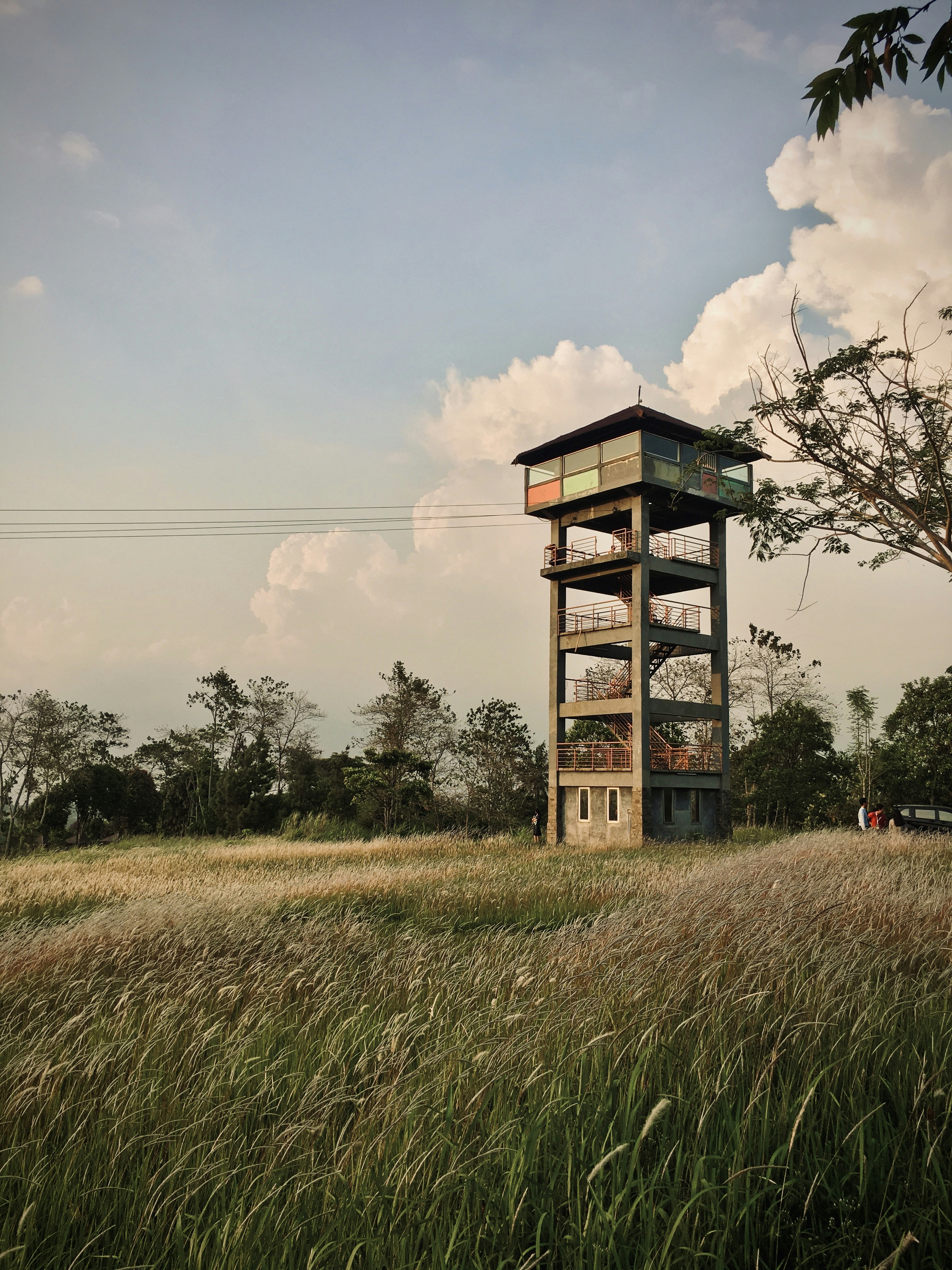 Amber Grass Watchtower: A Concrete Lookout Against Wide Skies