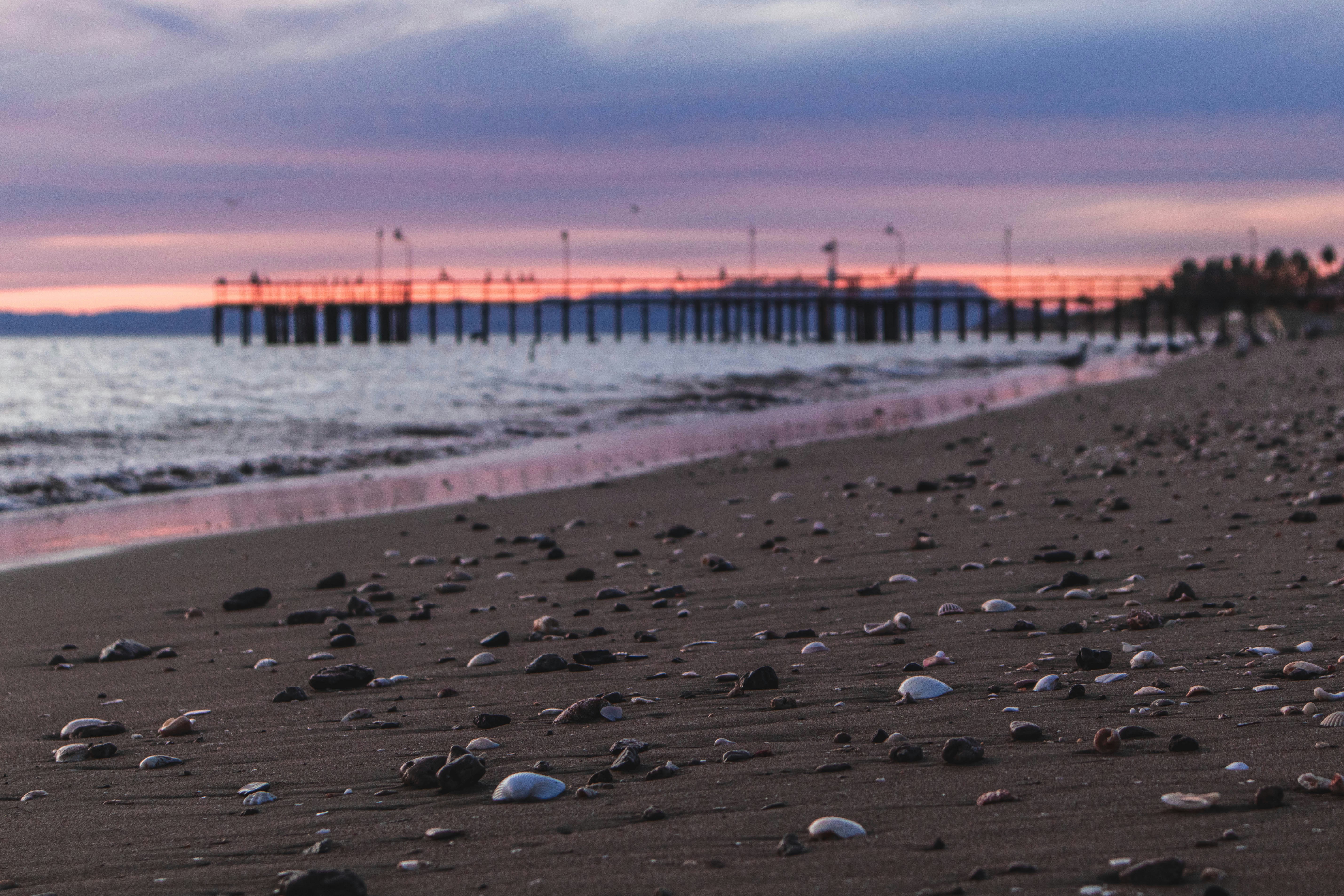 Dusk Pier over a Shell-Scattered Shore