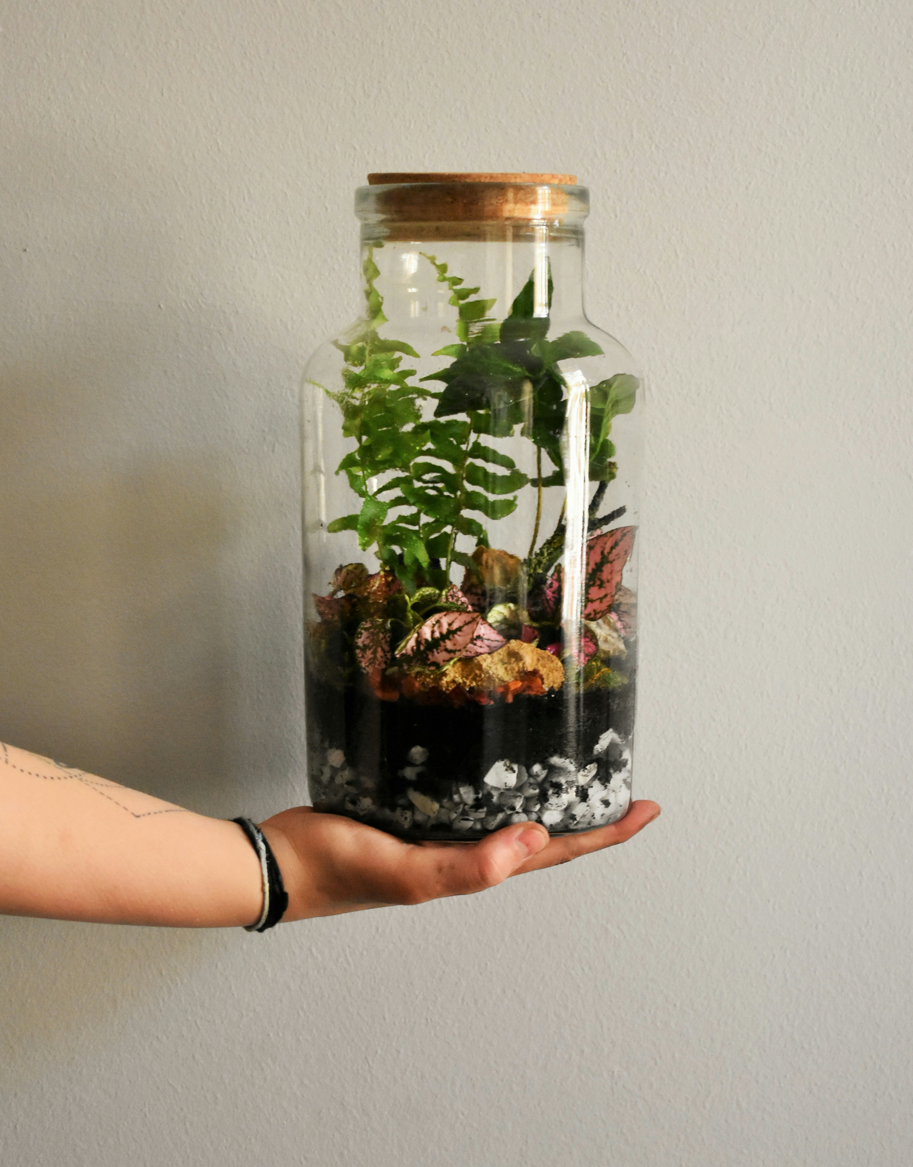 Cradled Green: A Hand-Held Glass Terrarium Brimming with Ferns
