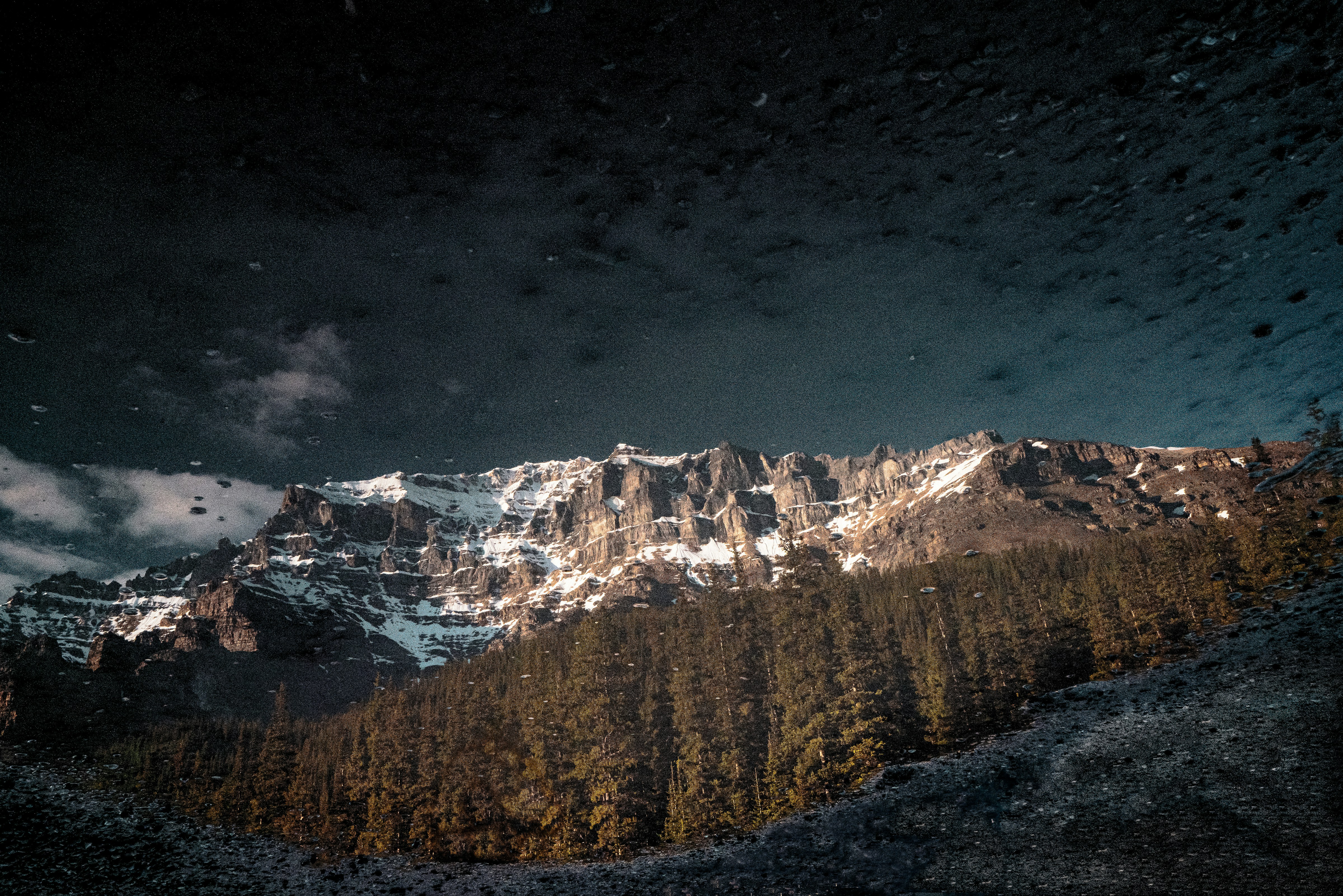 Gimkit - live learning game show