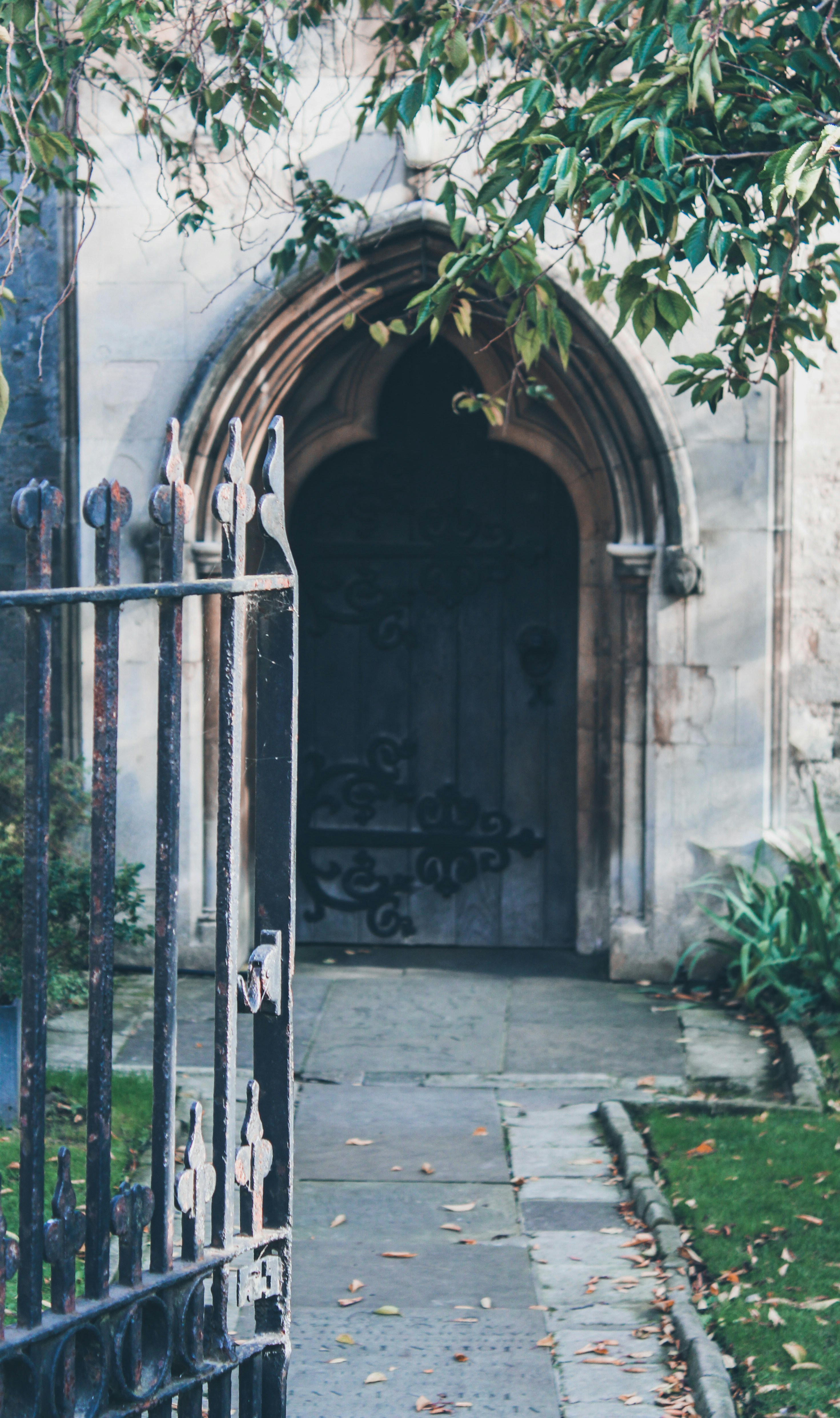 Intricately designed wrought iron gate leading to a shadowy archway, framed by lush greenery and weathered stone walls.