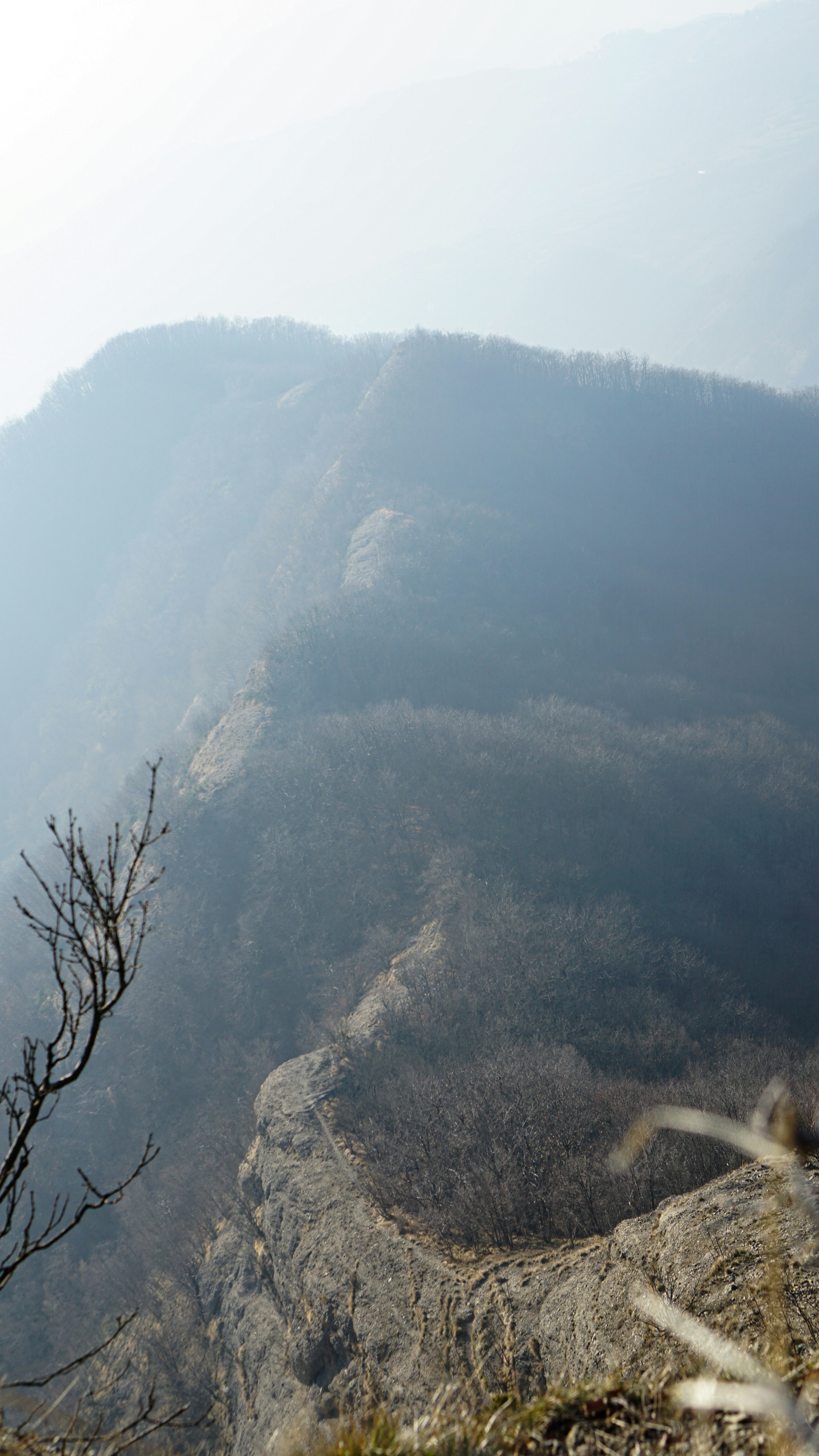 Foggy mountain ridge with sparse trees and rocky pathways in muted light.