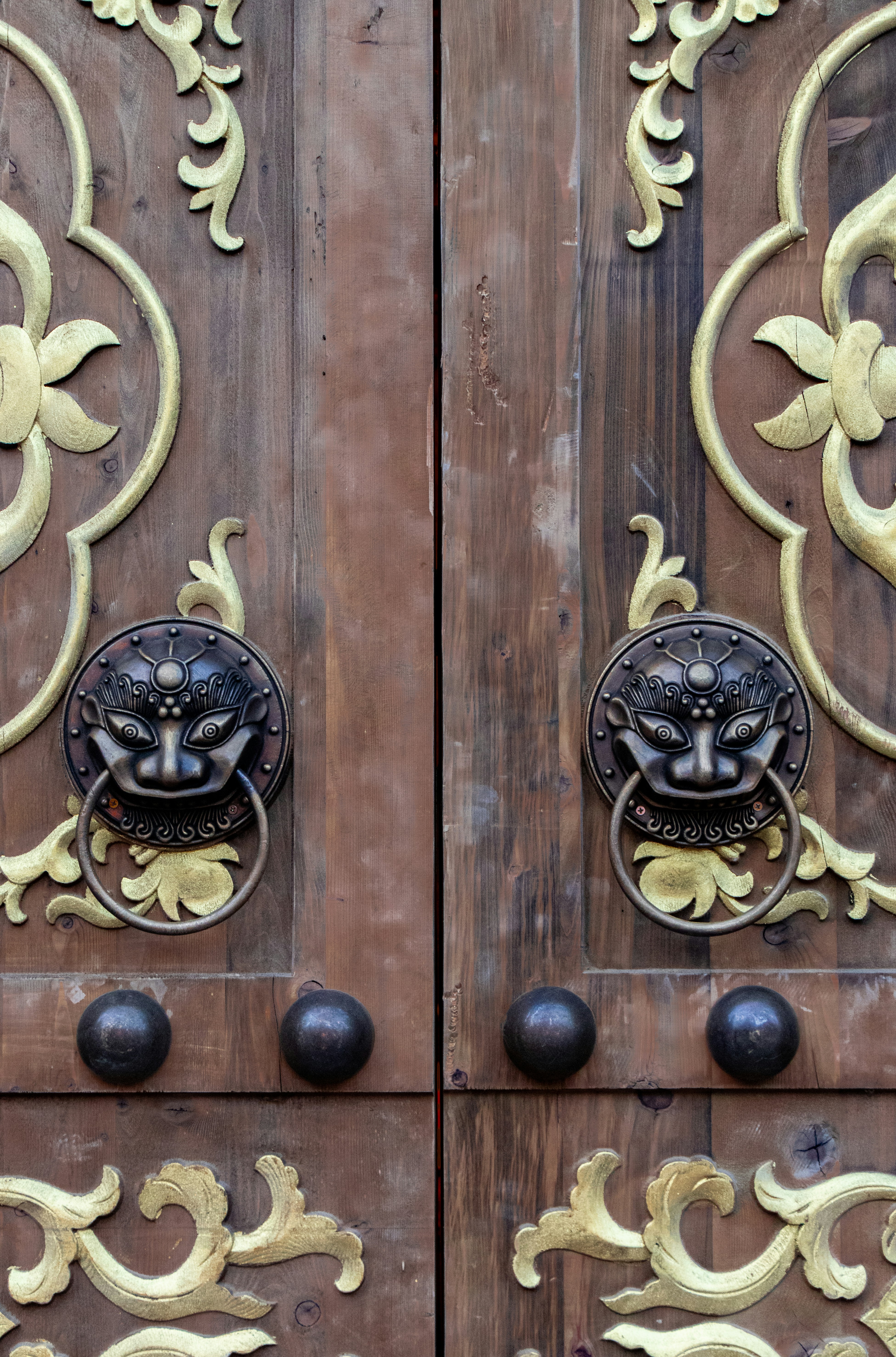 Twin Gatekeepers: Gold-Scroll Door Panels with Lion Knocker Ornaments