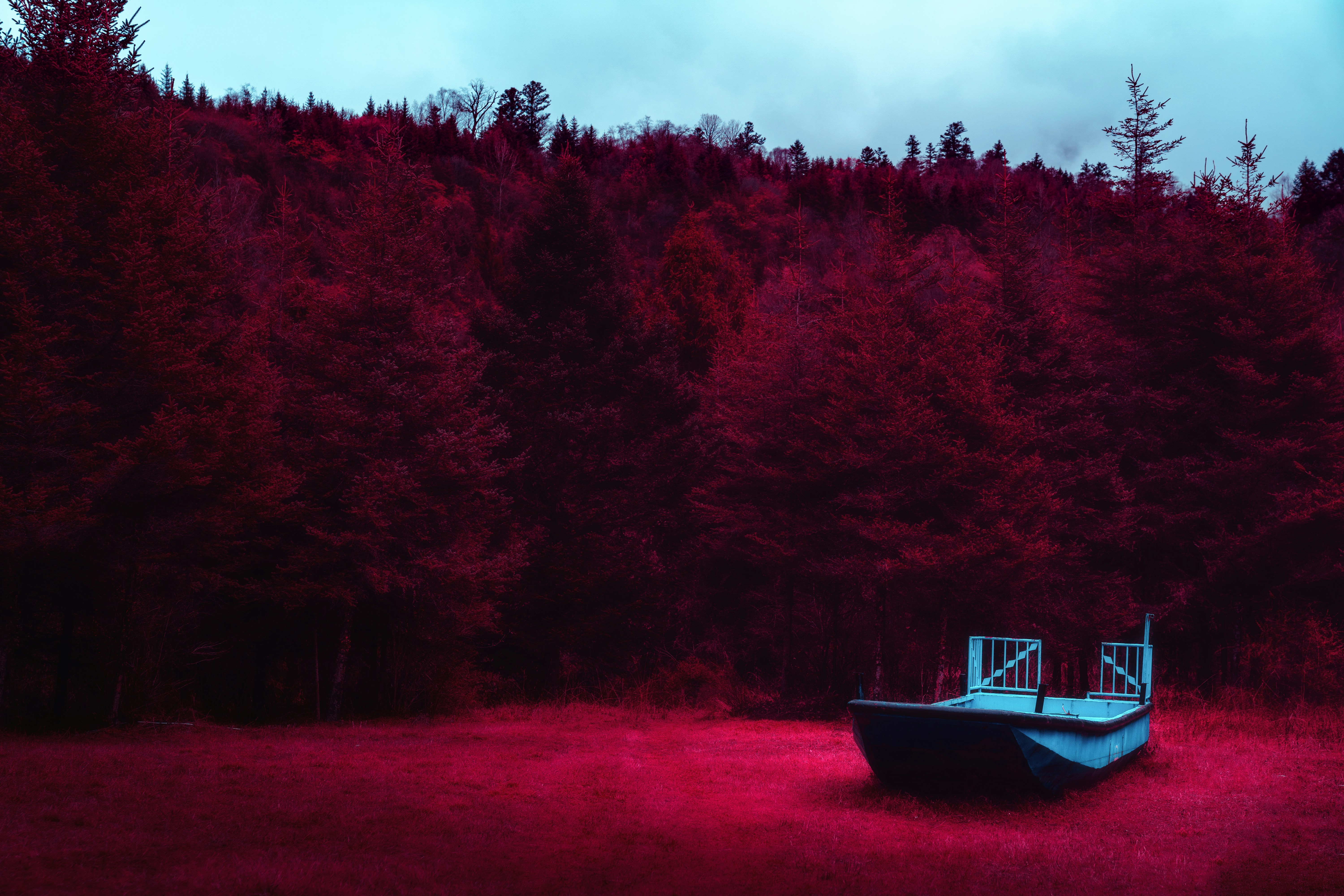 Azure Hull on a Crimson Meadow: A Solitary Boat under a Pale Blue Sky