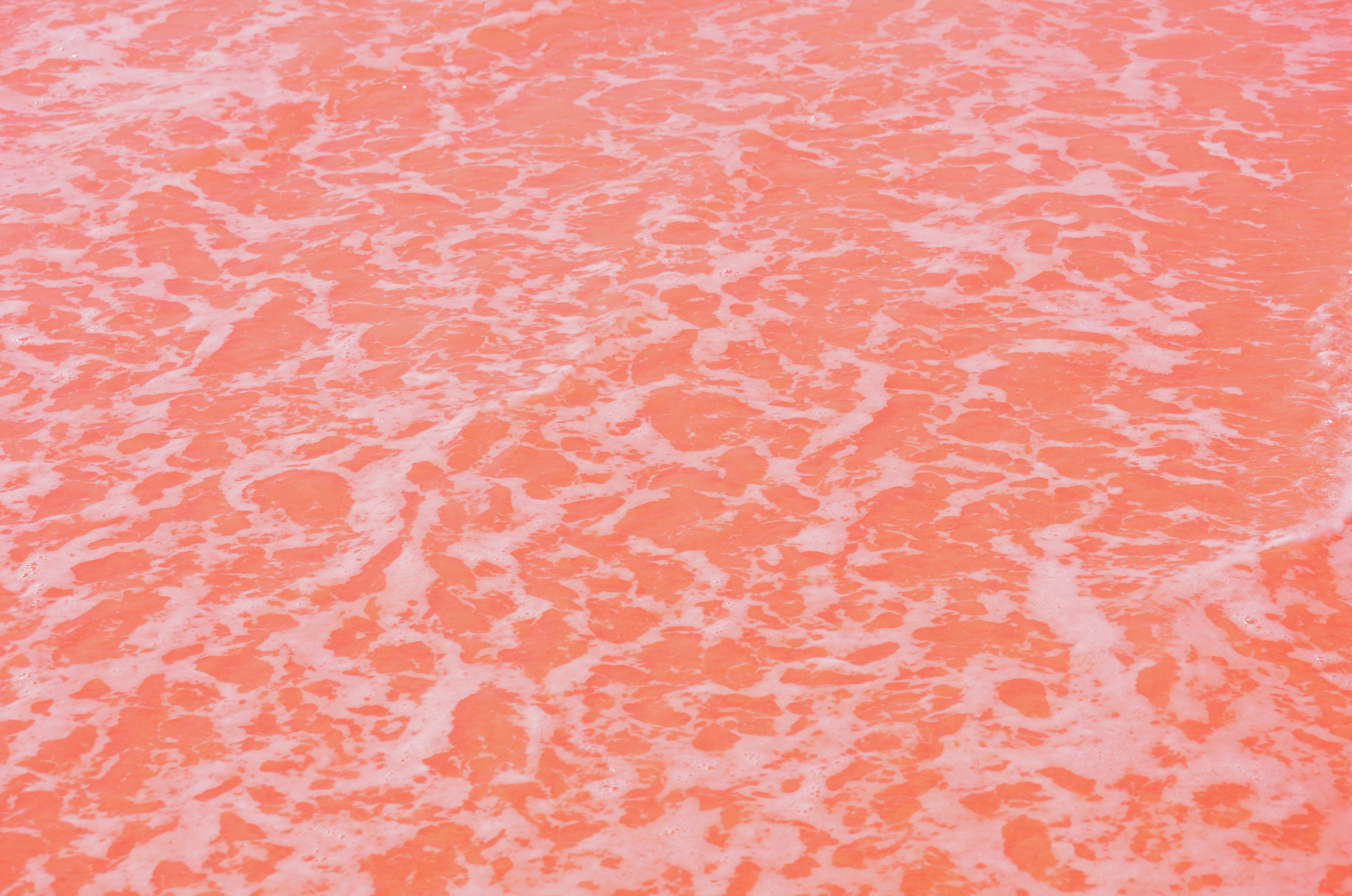Pink Pools Pictures | Download Free Images on Unsplash